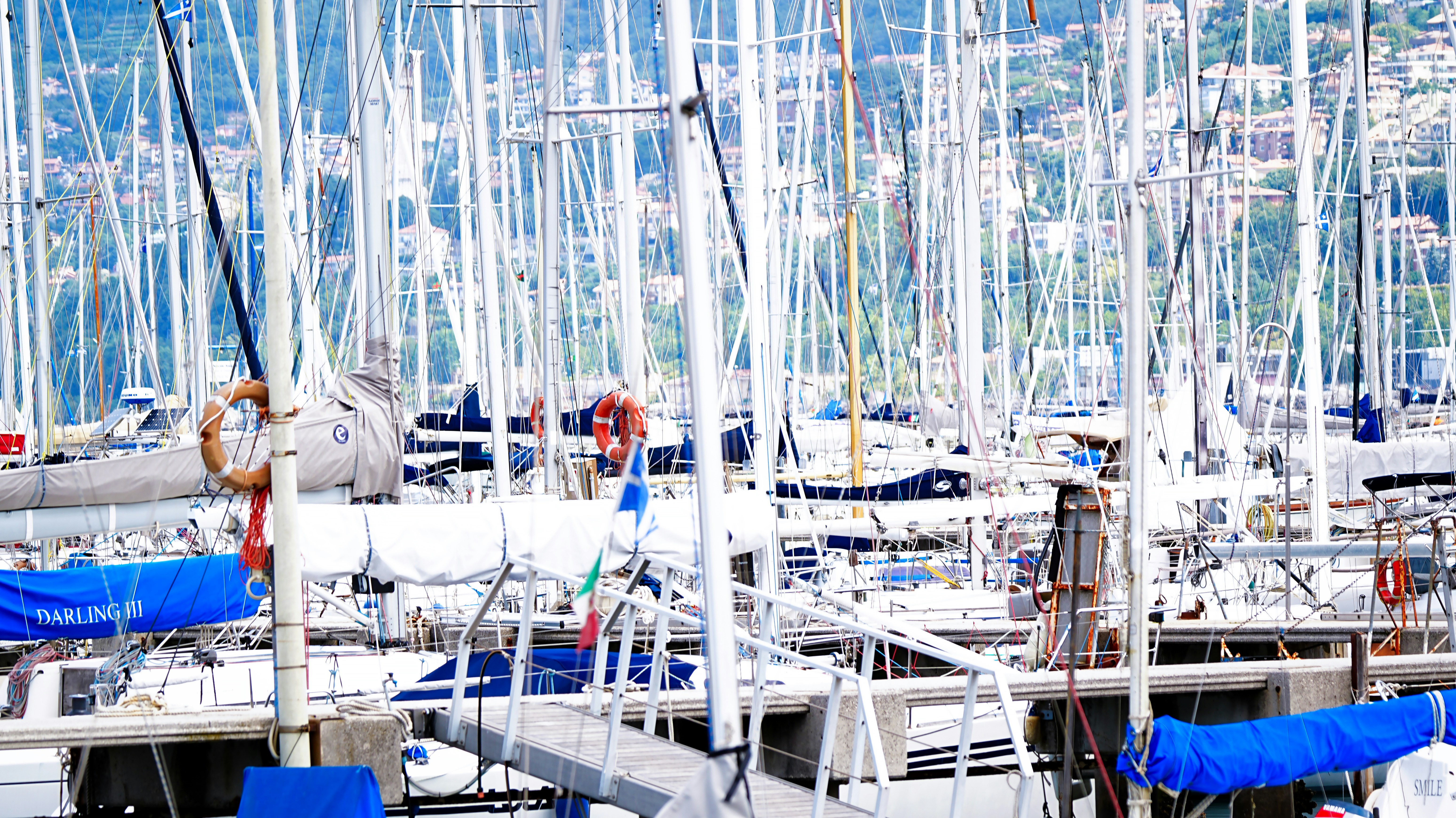 Masts of Serenity: A Harbor's Embrace