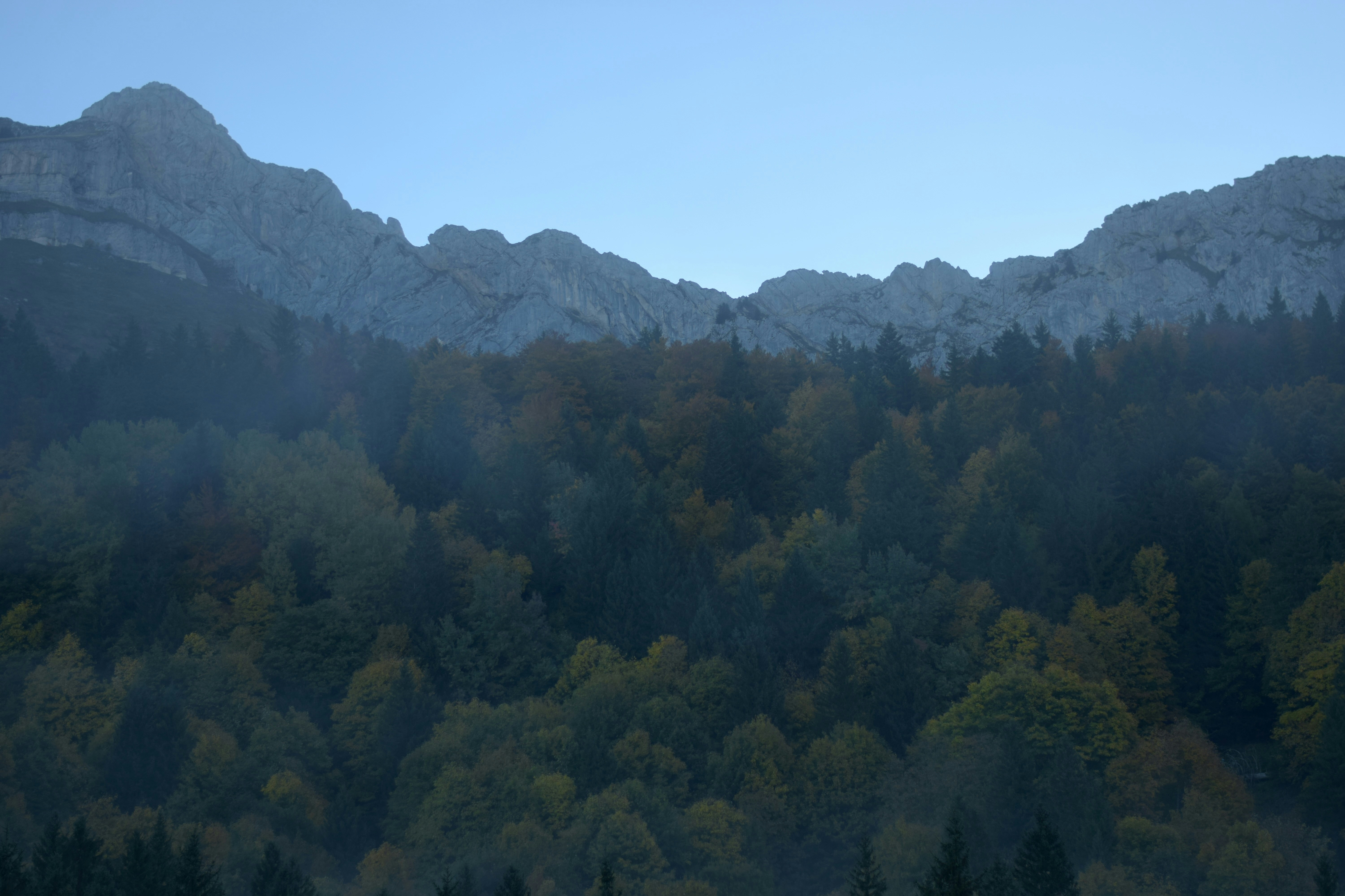 Misty forest with mountains under a clear blue sky