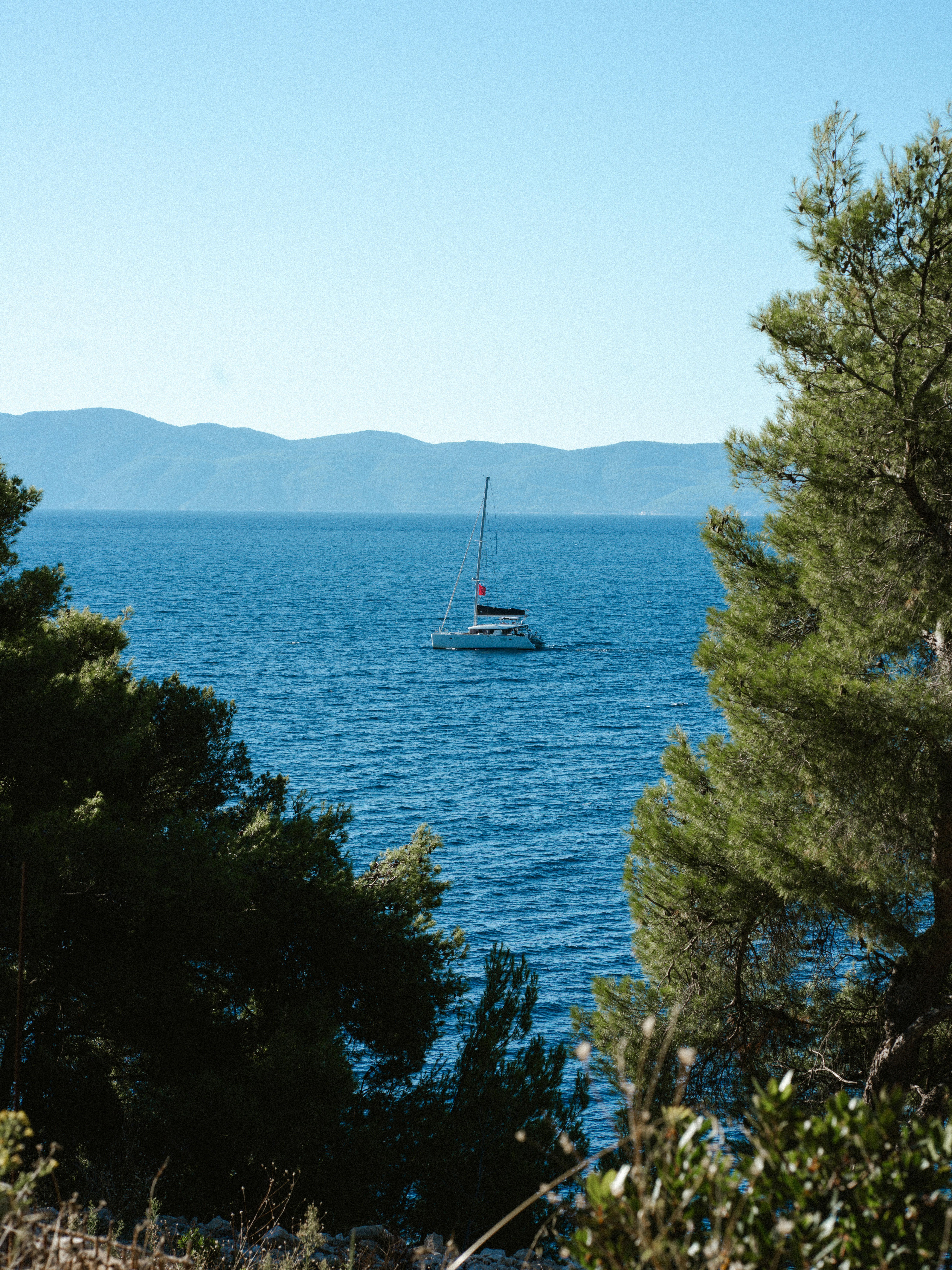 Sailing Serenity Amidst Nature's Embrace