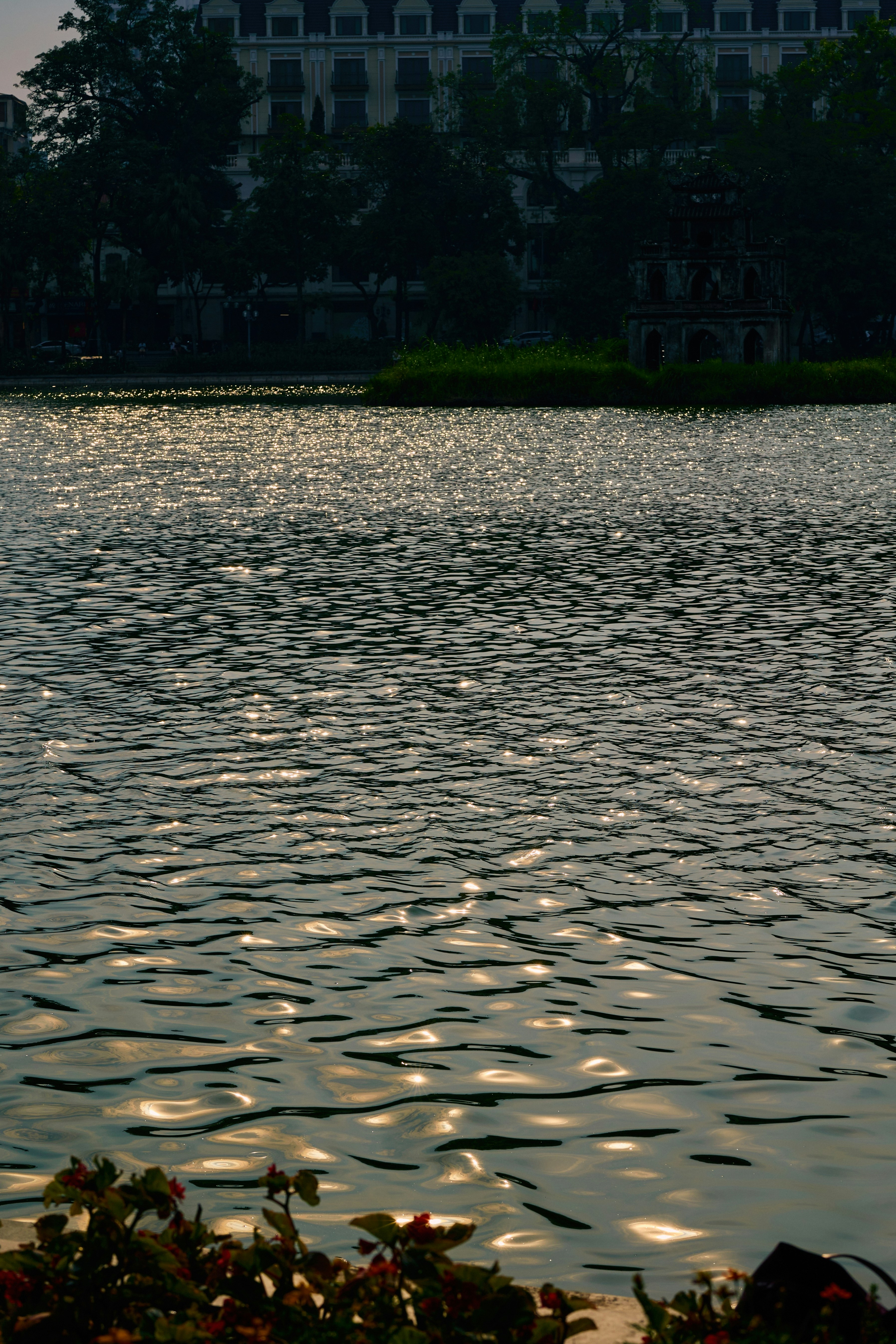 Reflections of Serenity: A Tranquil Waterscape