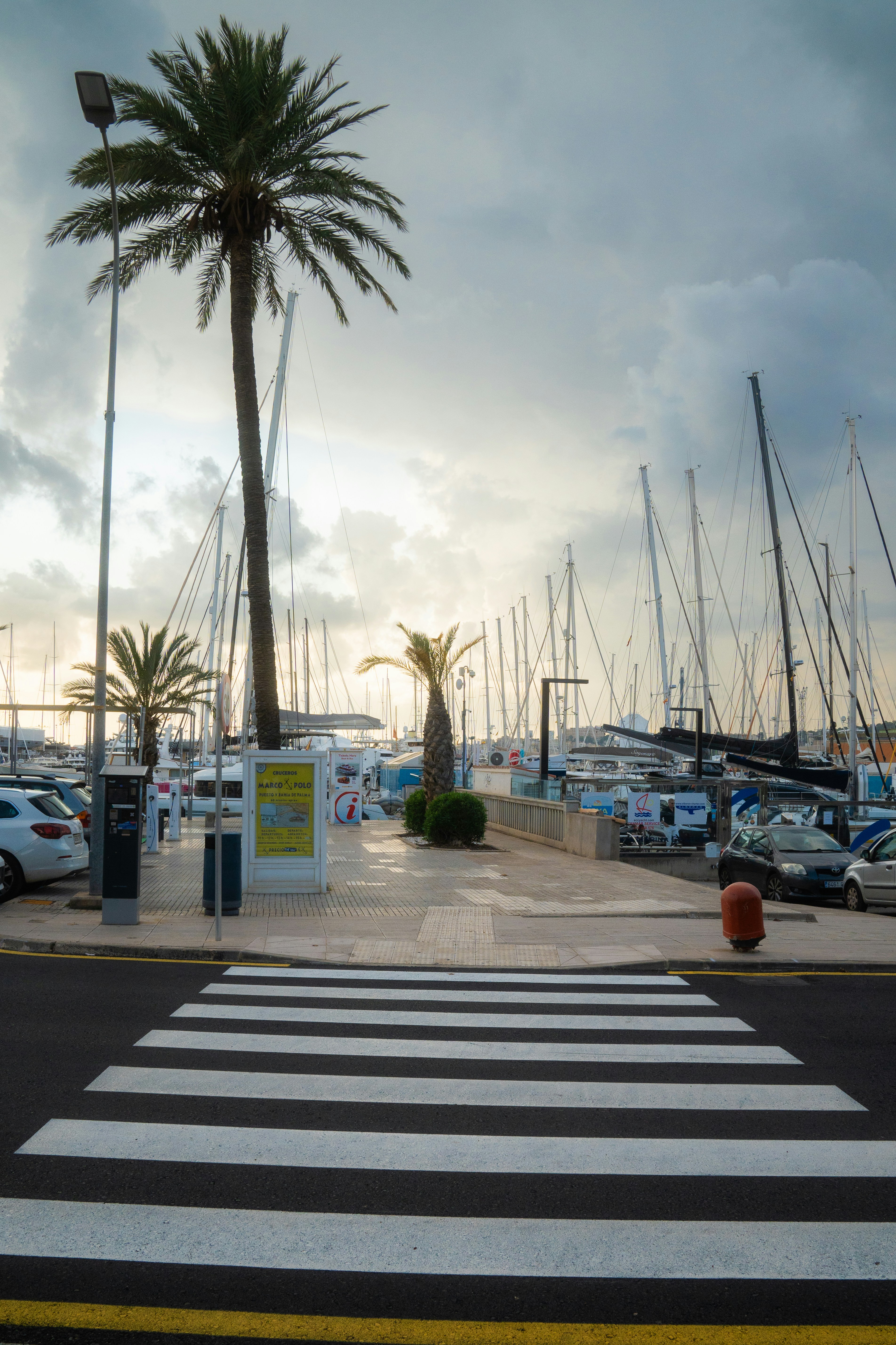 Harbor Serenity: A Stroll Through Nautical Dreams