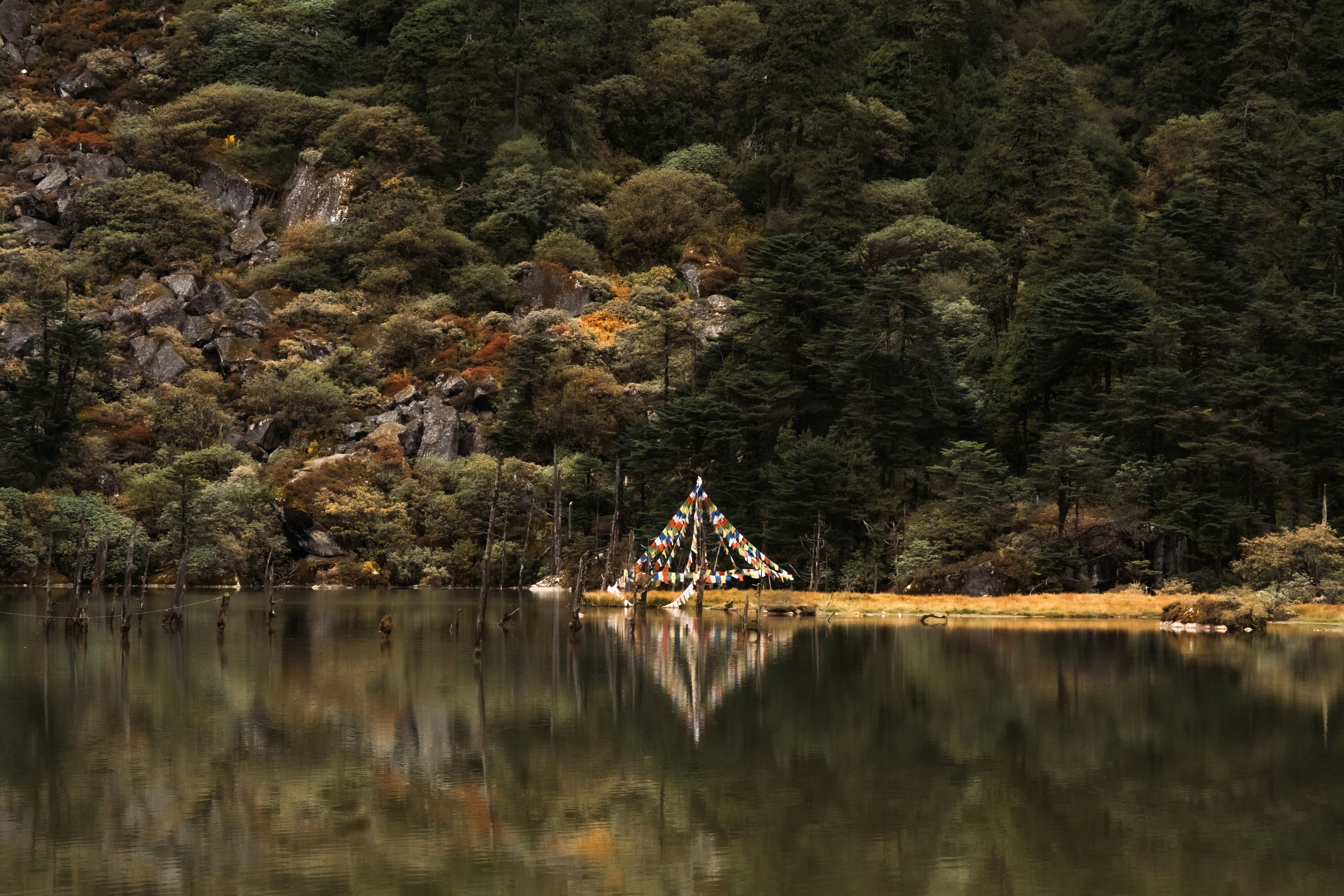 Whispers of Tranquility by the Lake