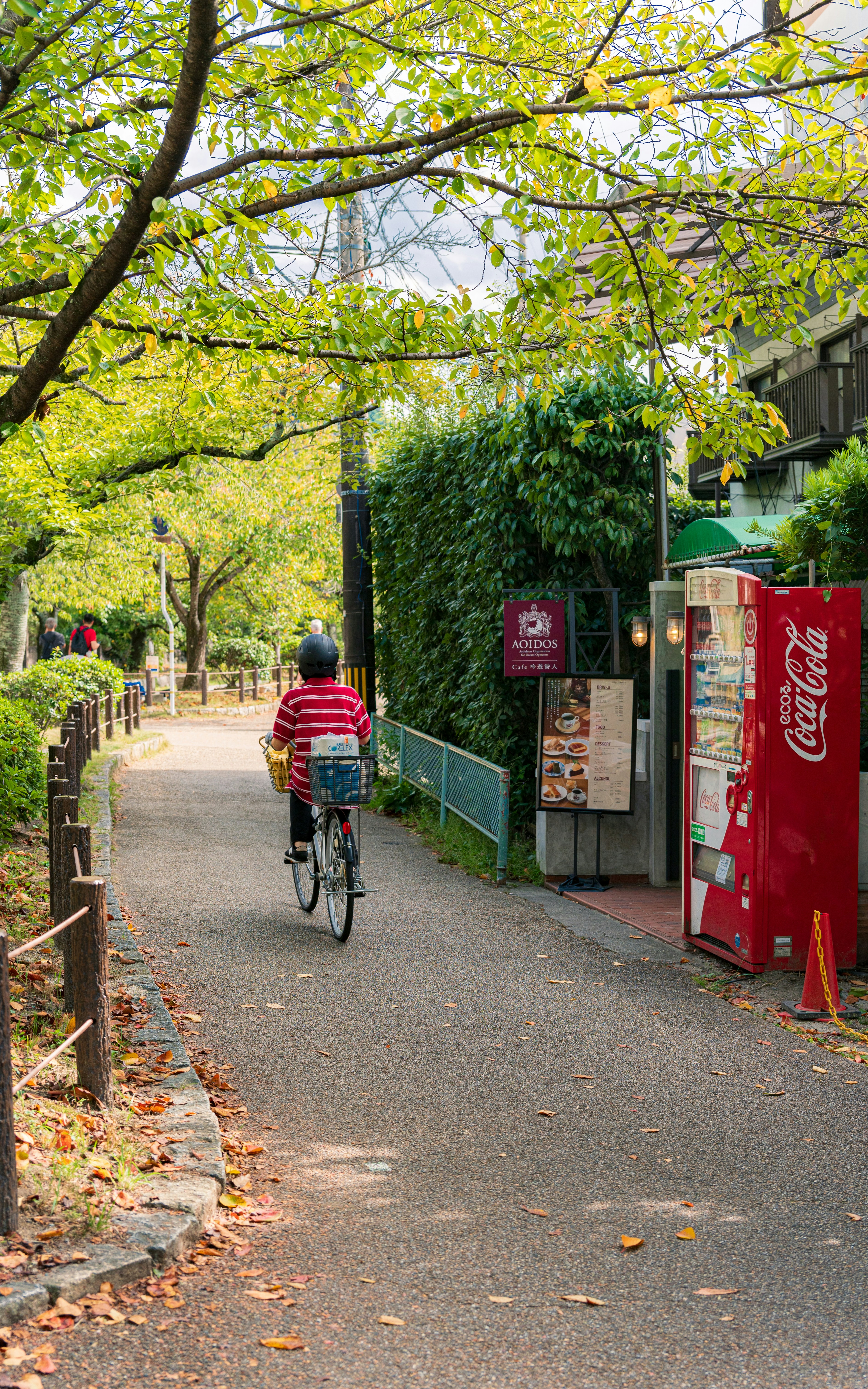 Person rides bicycle on path past vending machine.