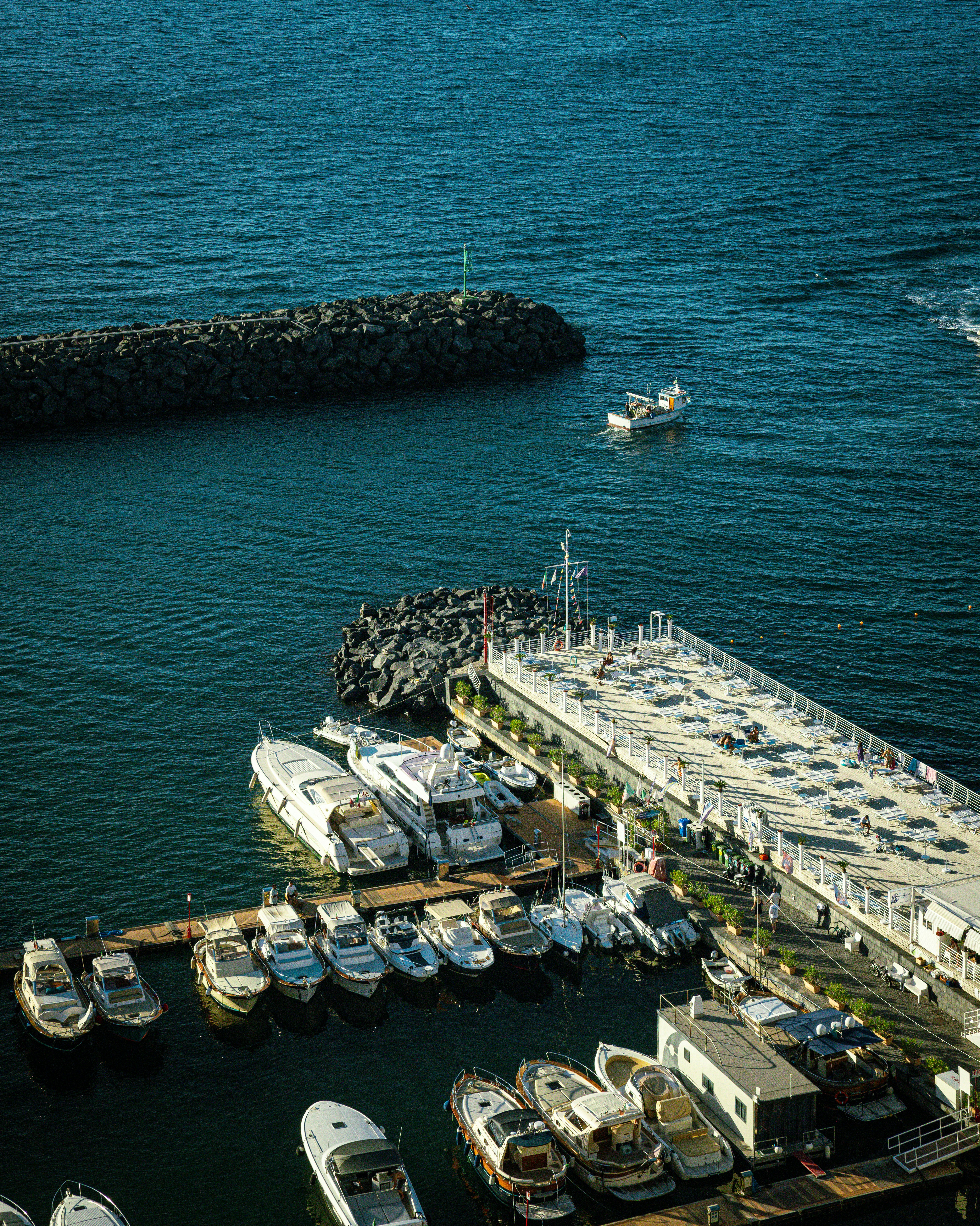 Harbor Harmony: A Day on the Water