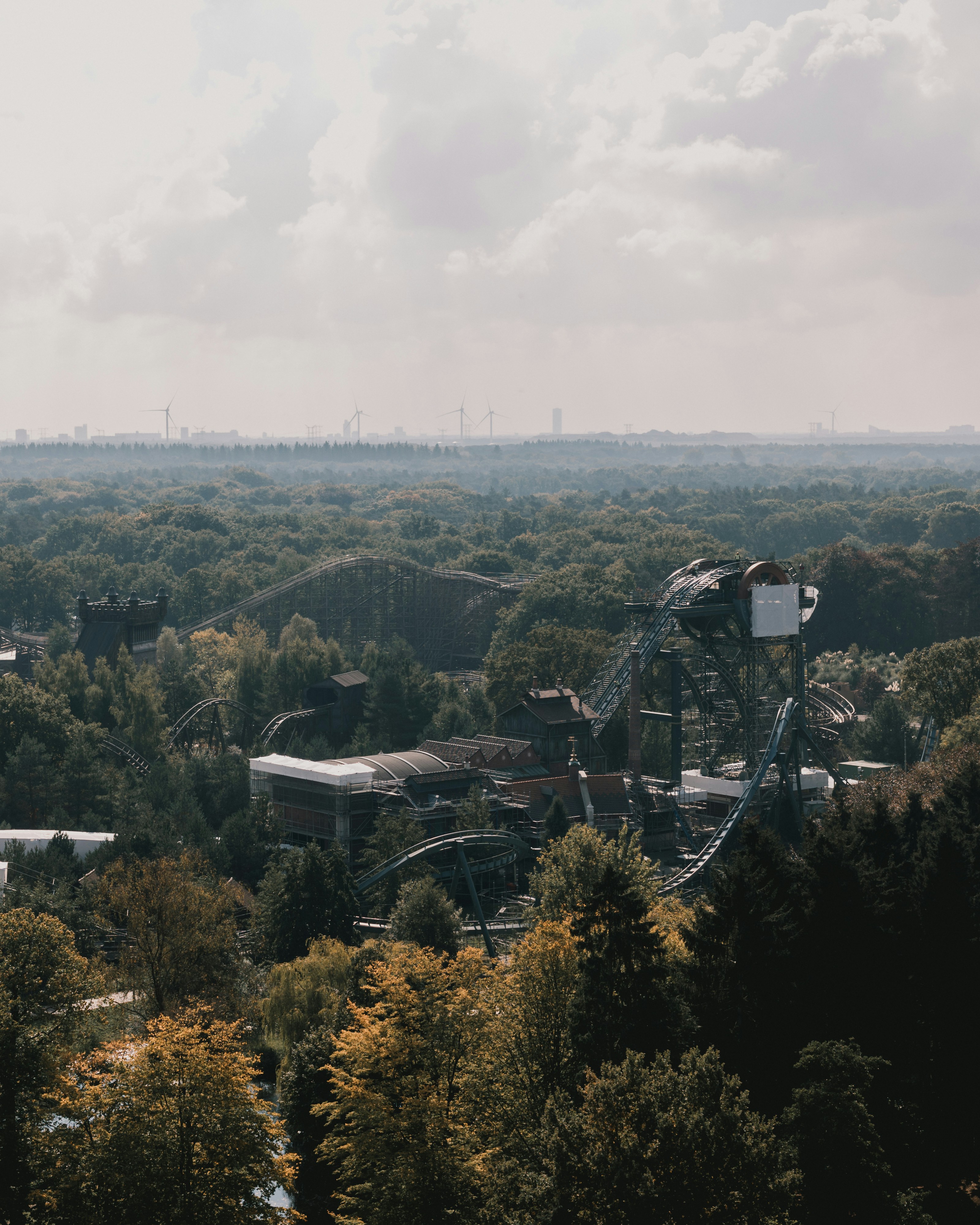 Roller coaster rides amidst a dense forest landscape.