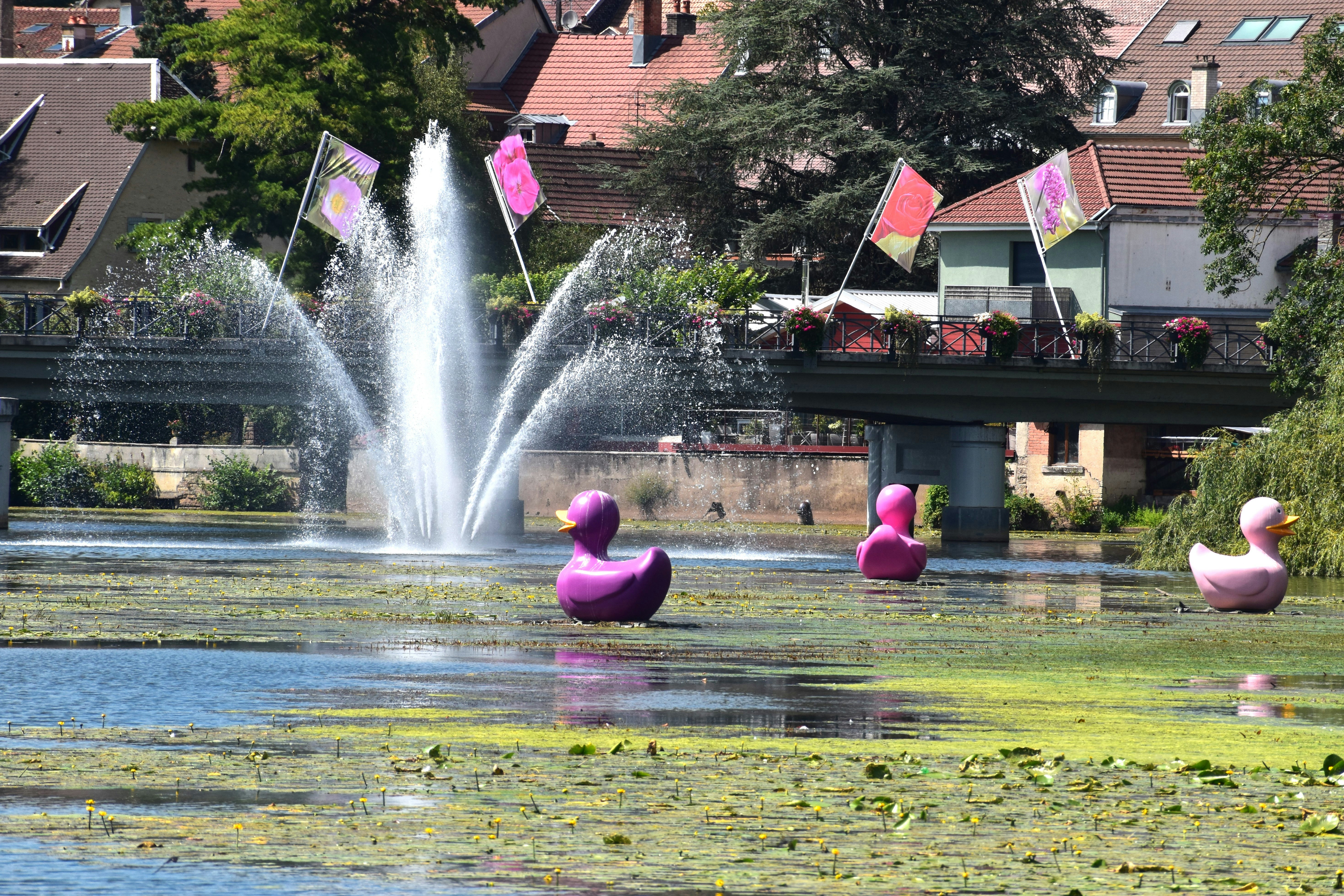Whimsical Waters: A Playful Symphony of Color
