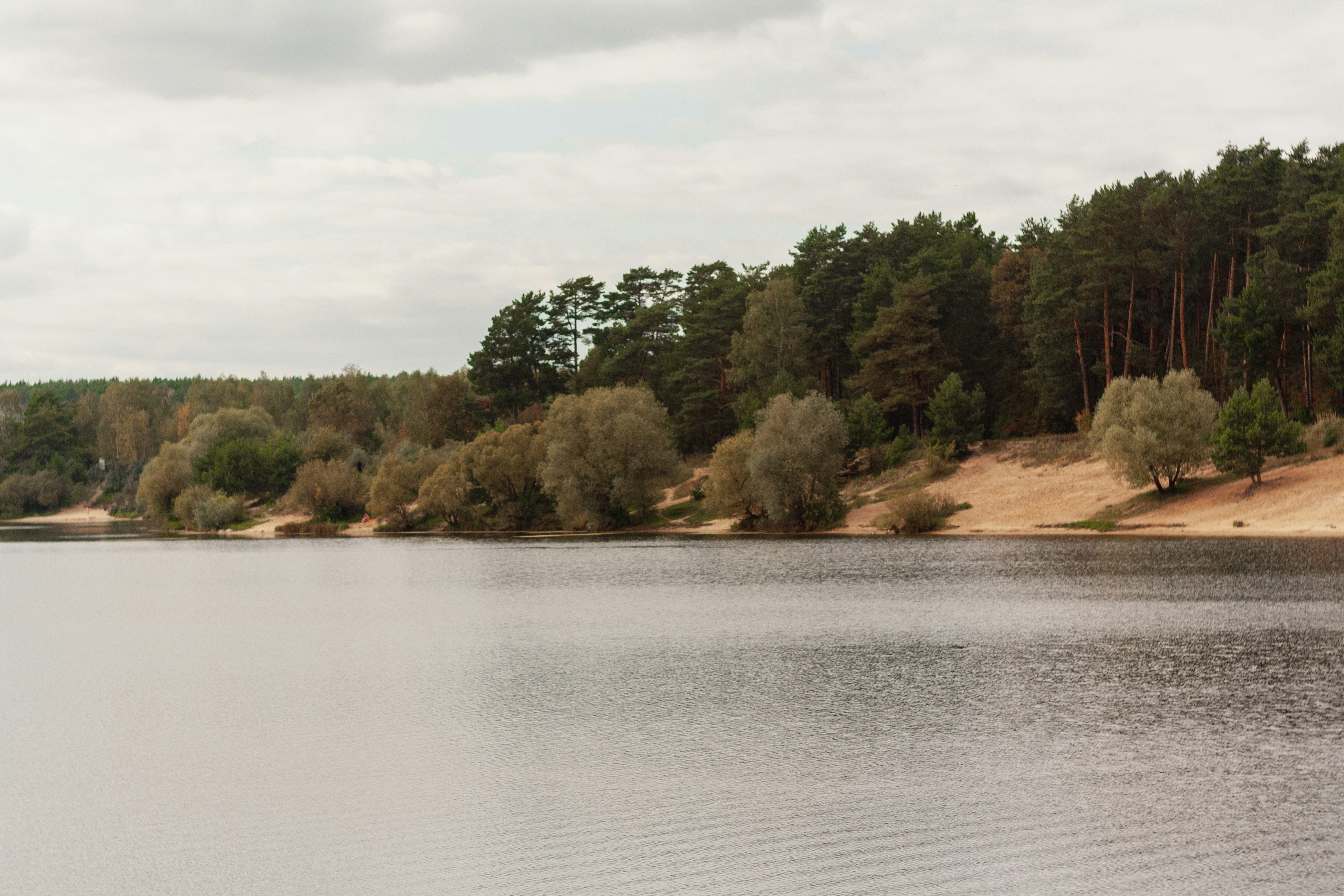 Serenity by the Waterside: A Quiet Retreat