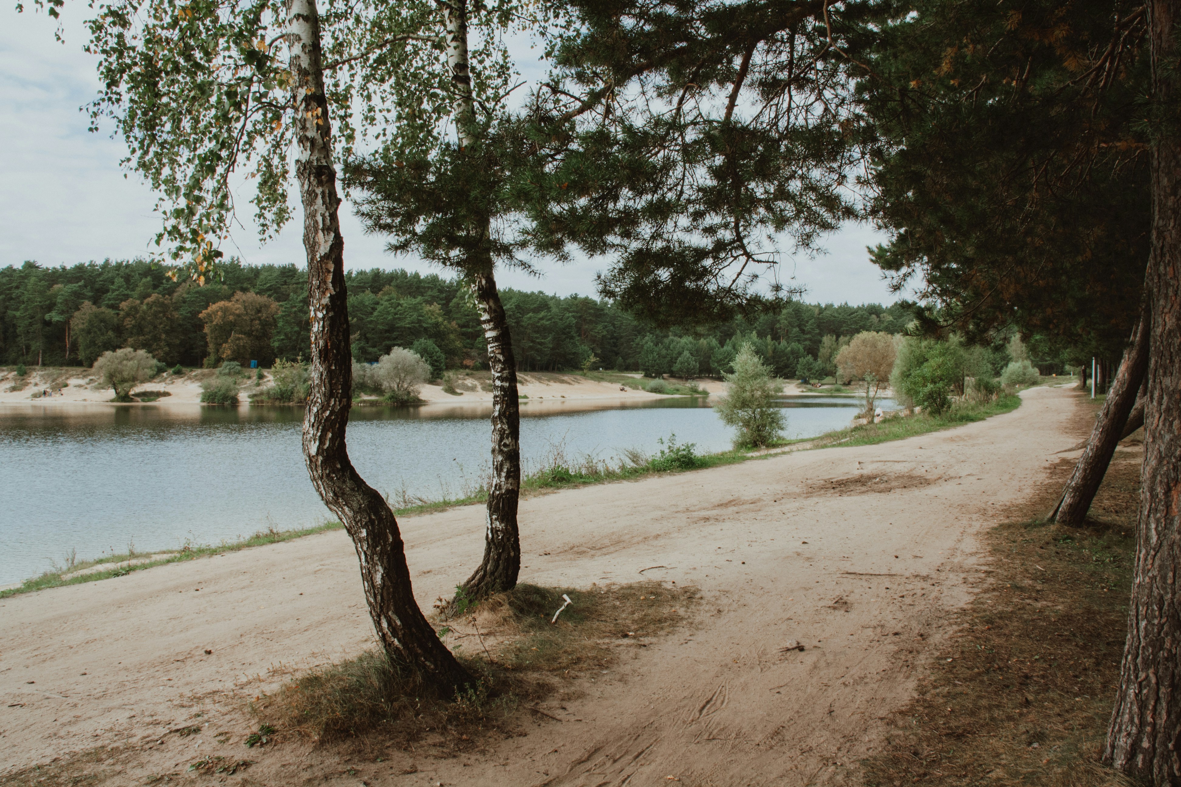 Serenity by the Water's Edge