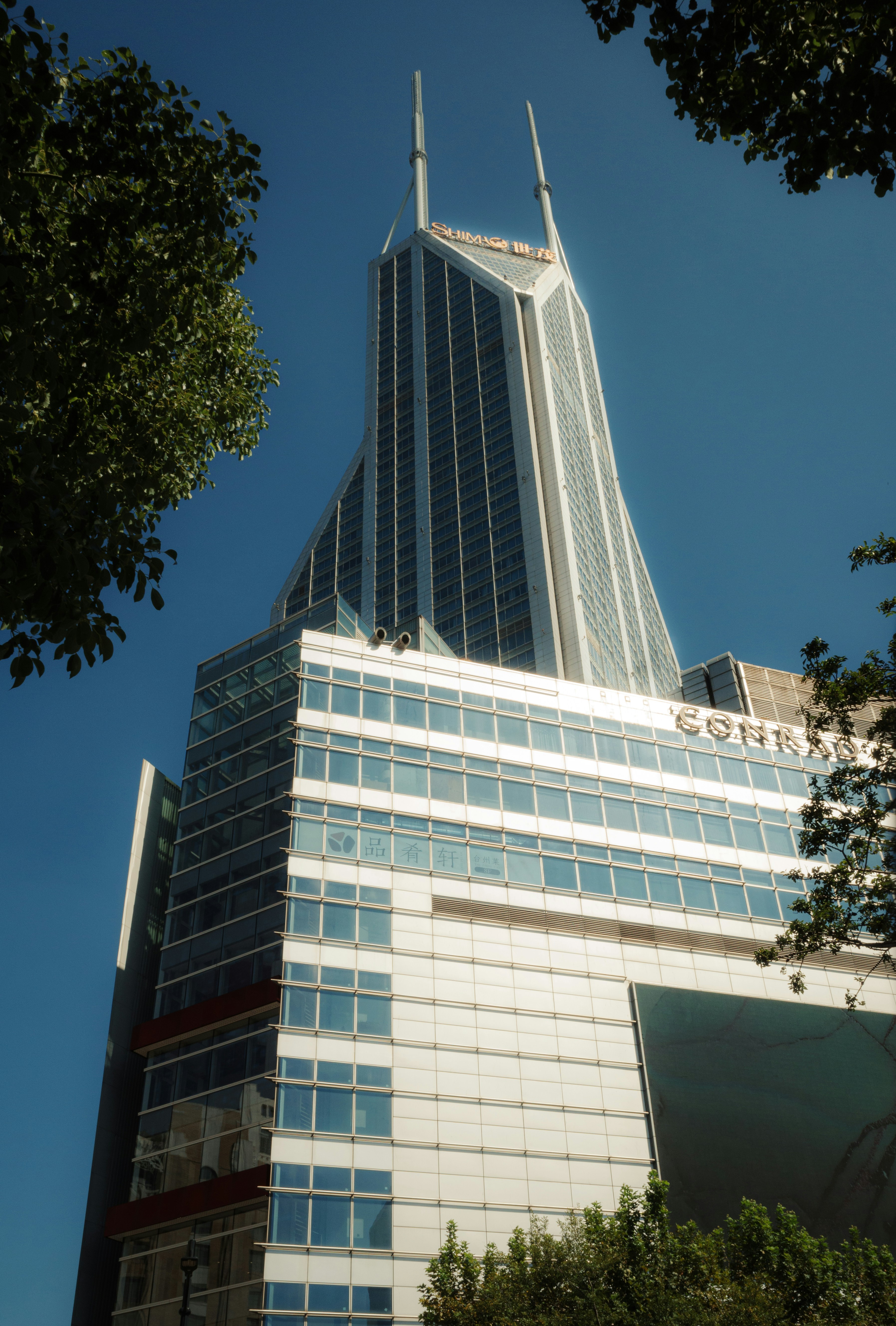 Vertical Ambitions: The Architectural Pinnacle
