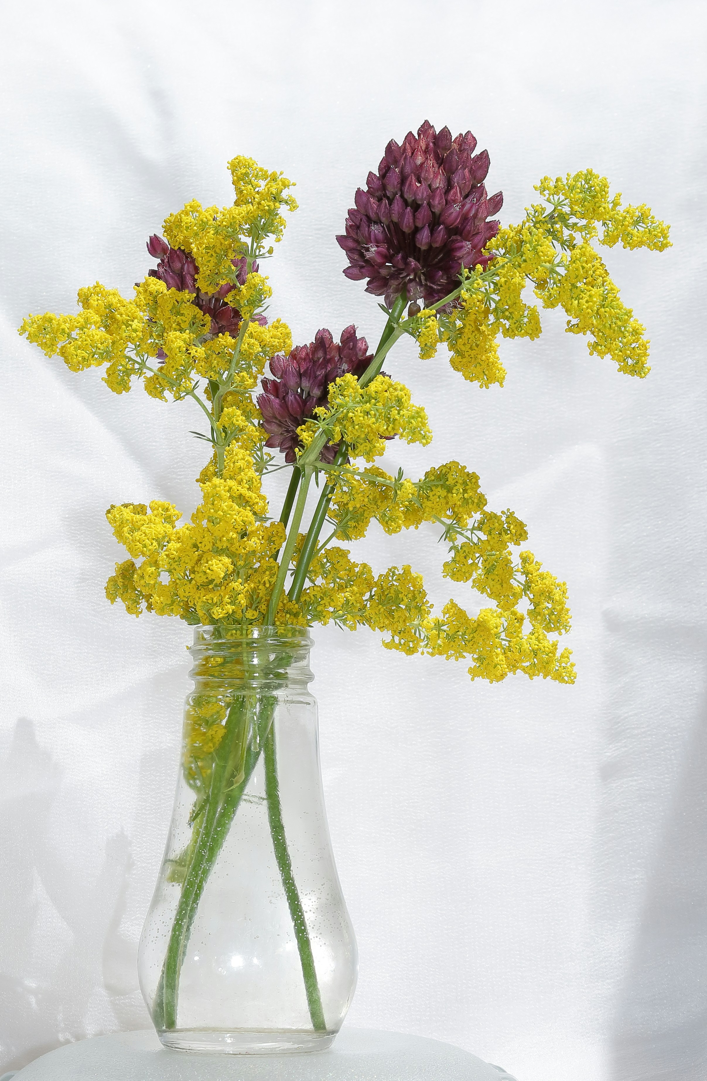 Vibrant Harmony: A Floral Symphony