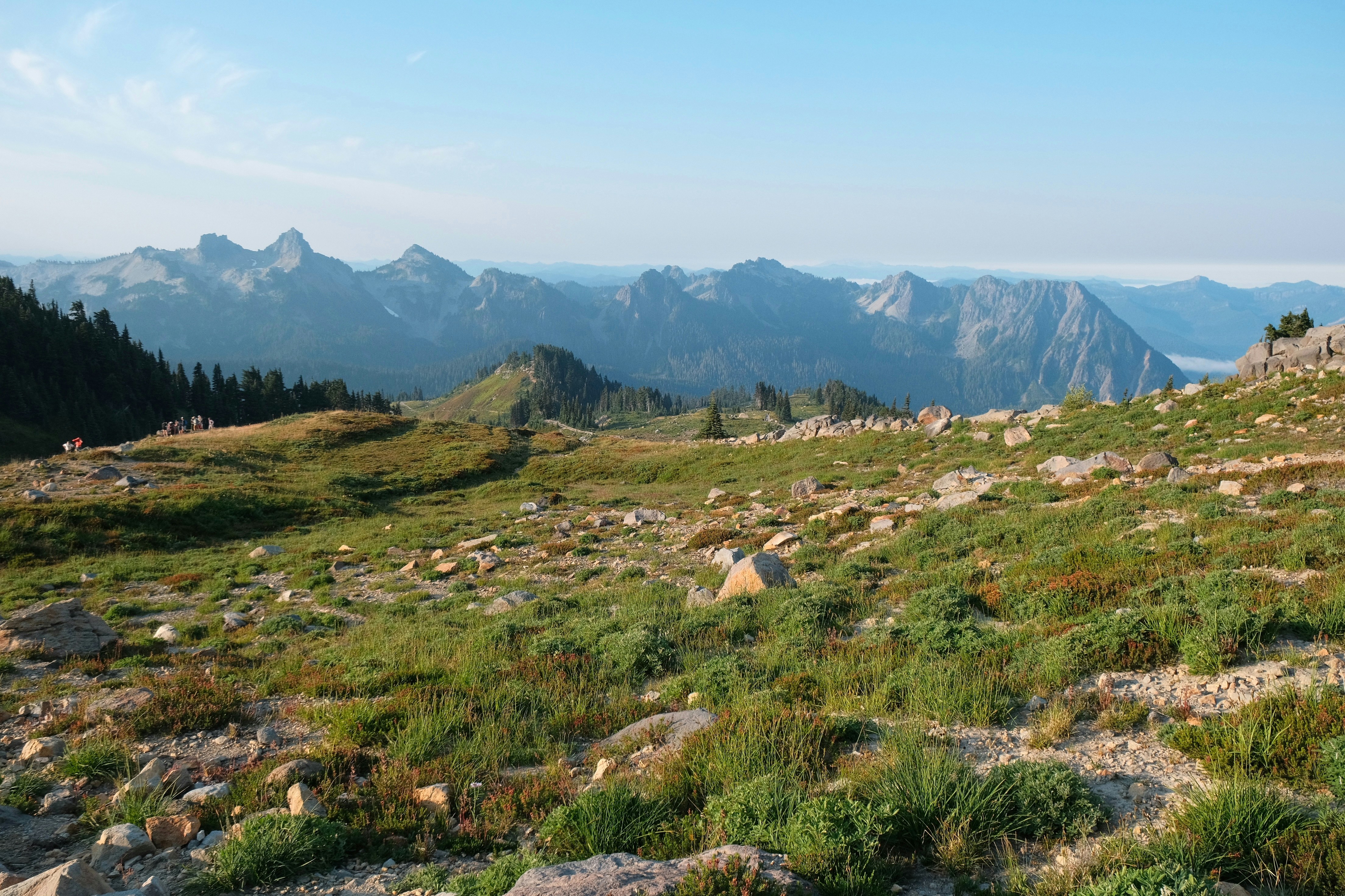 Mountain landscape with green grass and rocky terrain