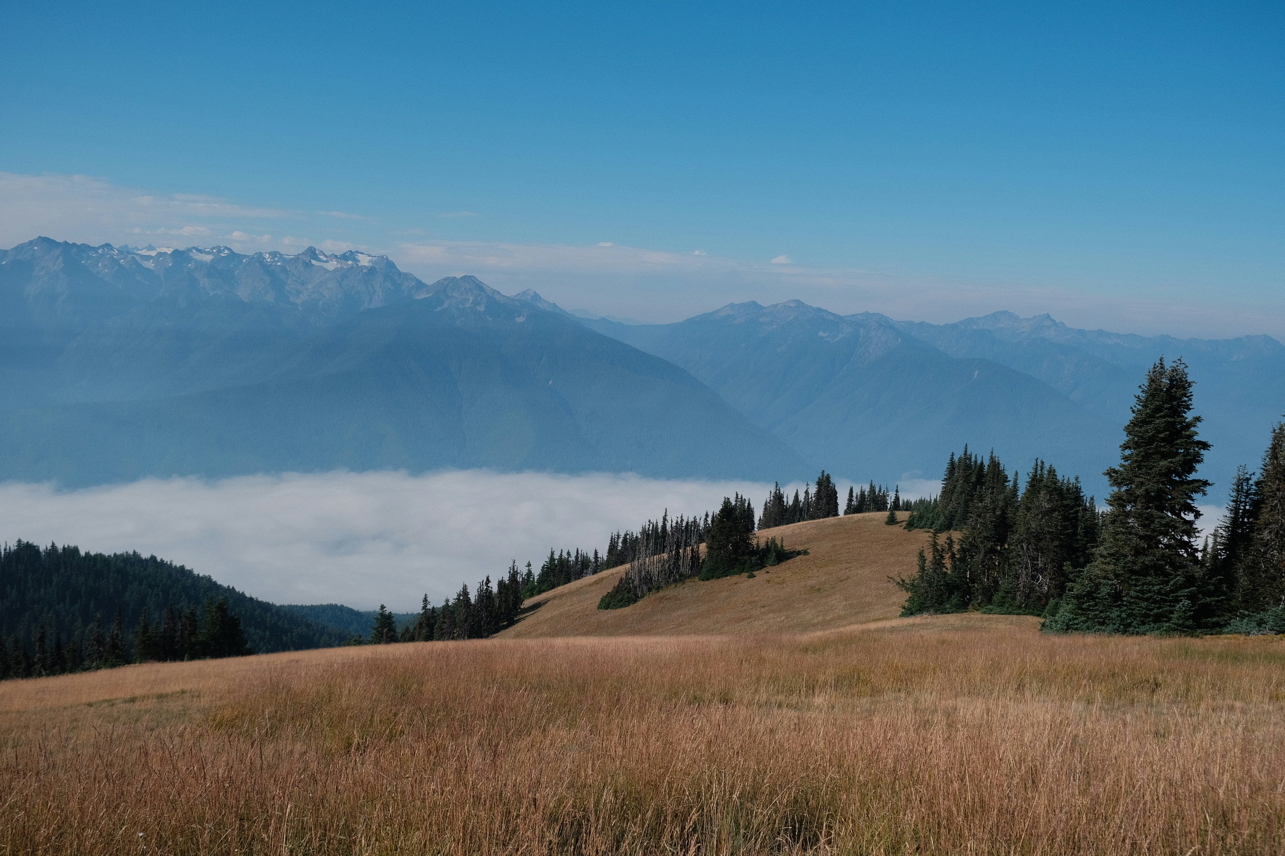 Whispers of the Mountain Horizon