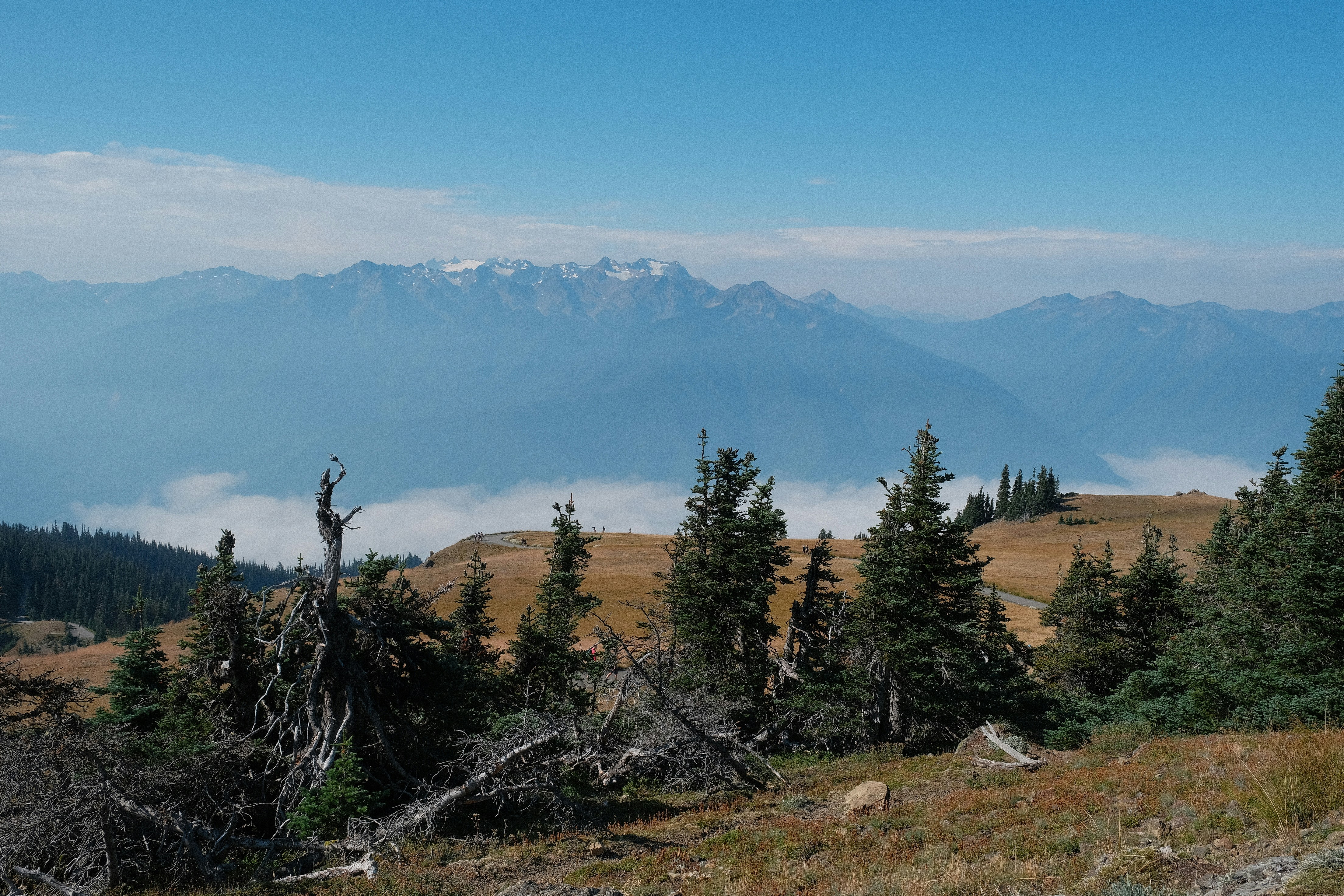 Whispers of the Cascades: A Mountain's Embrace
