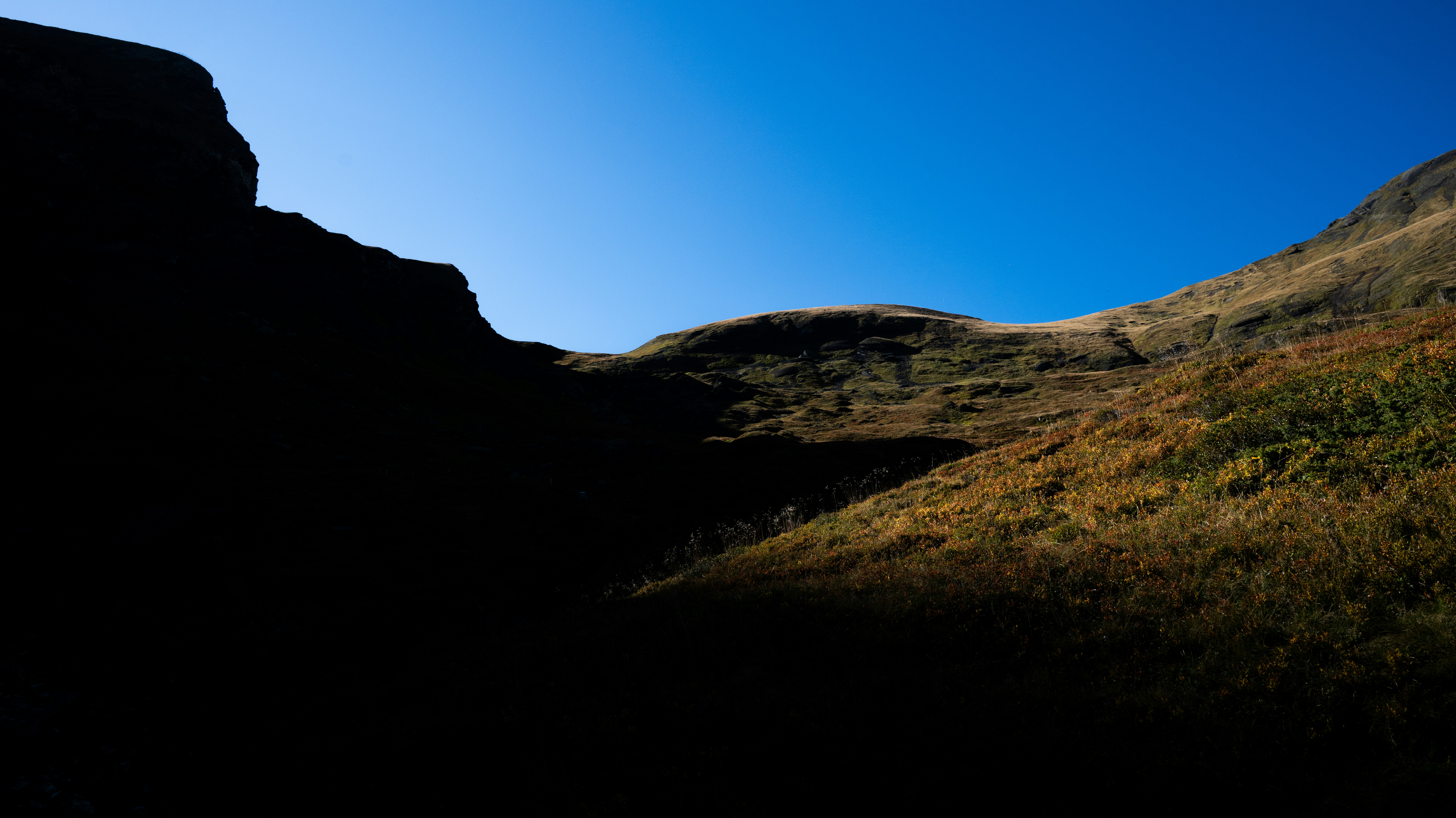 Sunlit hillside under a clear blue sky.