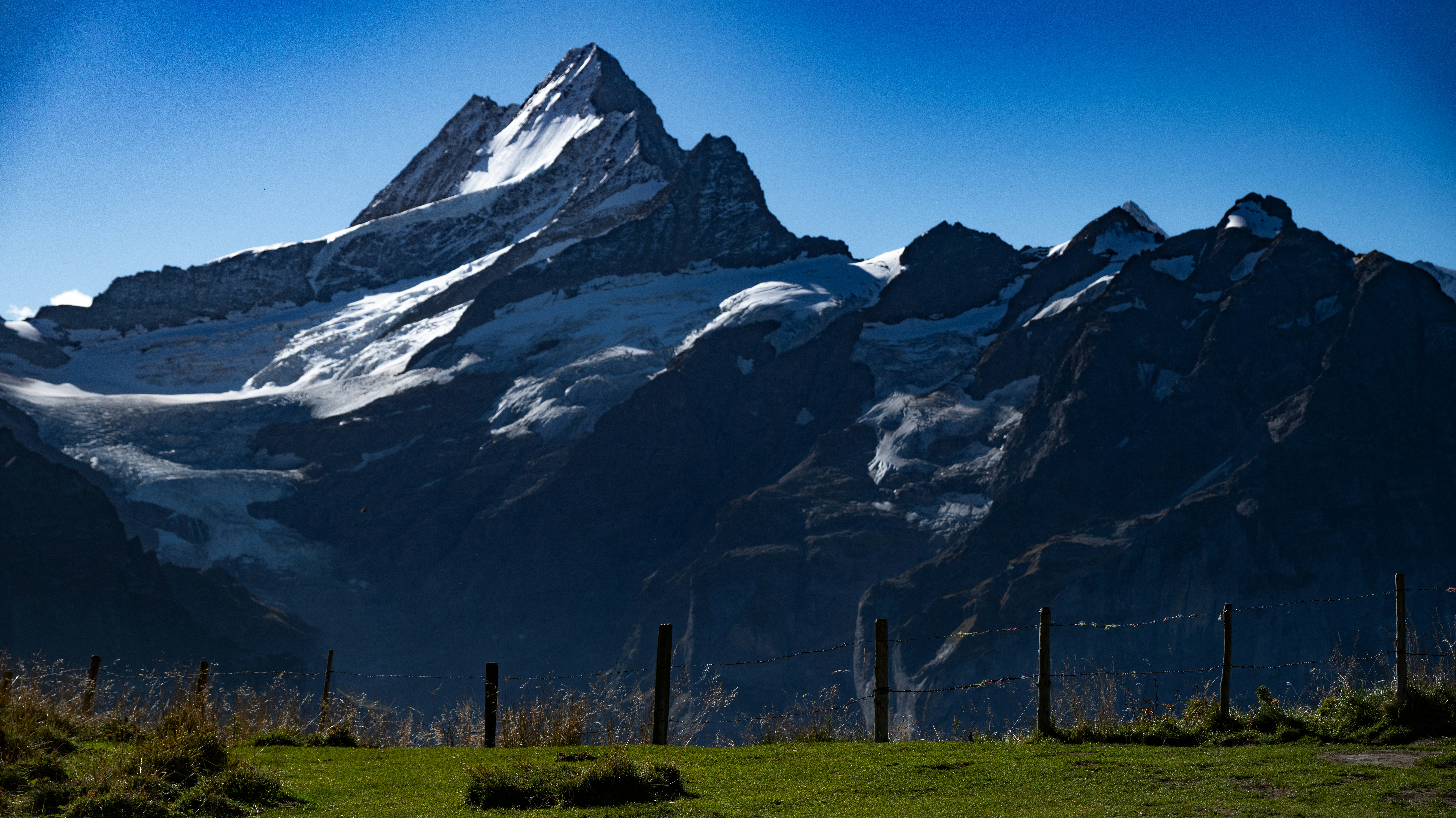 Photo by SOHAM BANERJEE with Nikon Z8