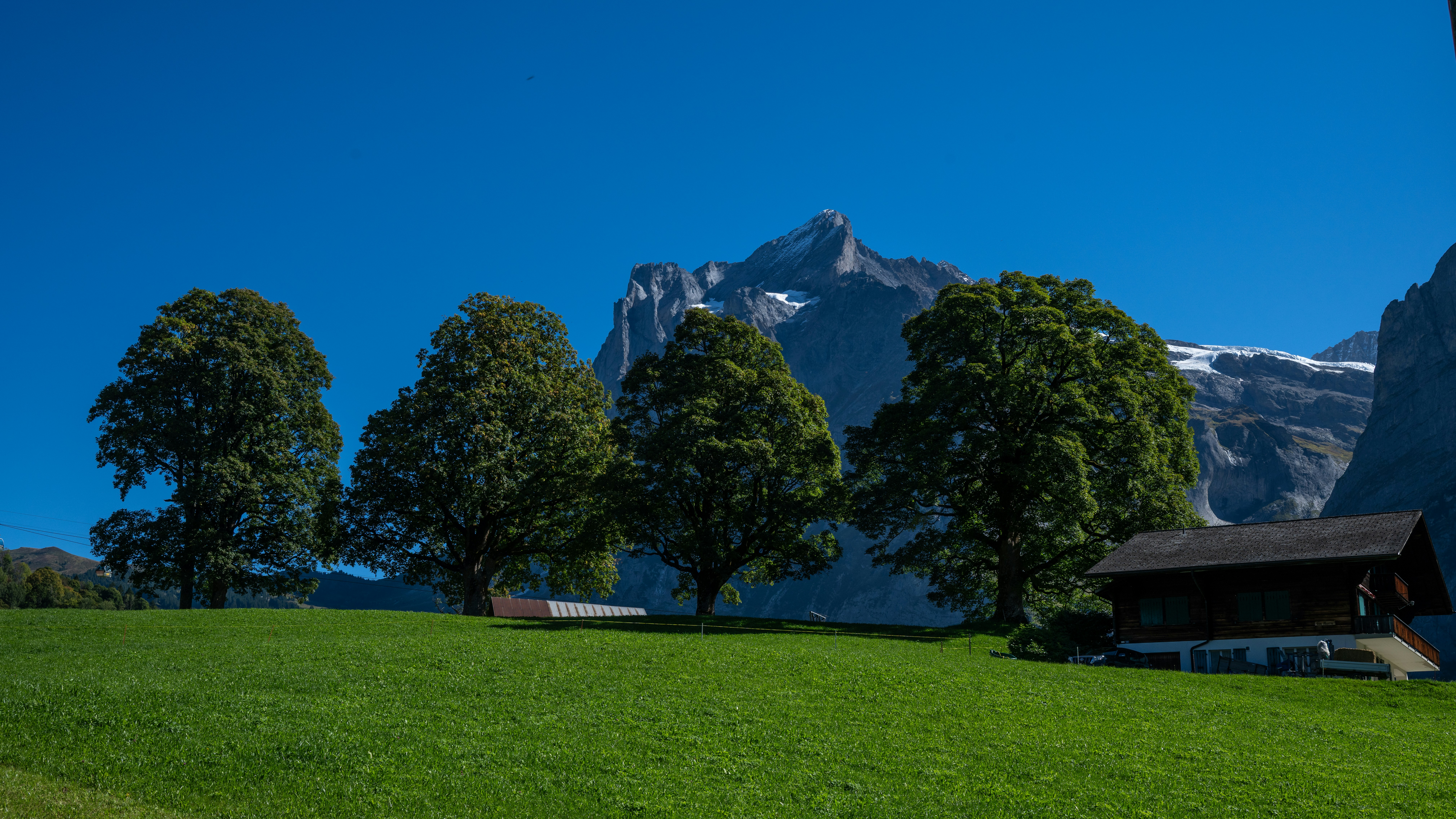 Green Meadow Under the Watchful Alps