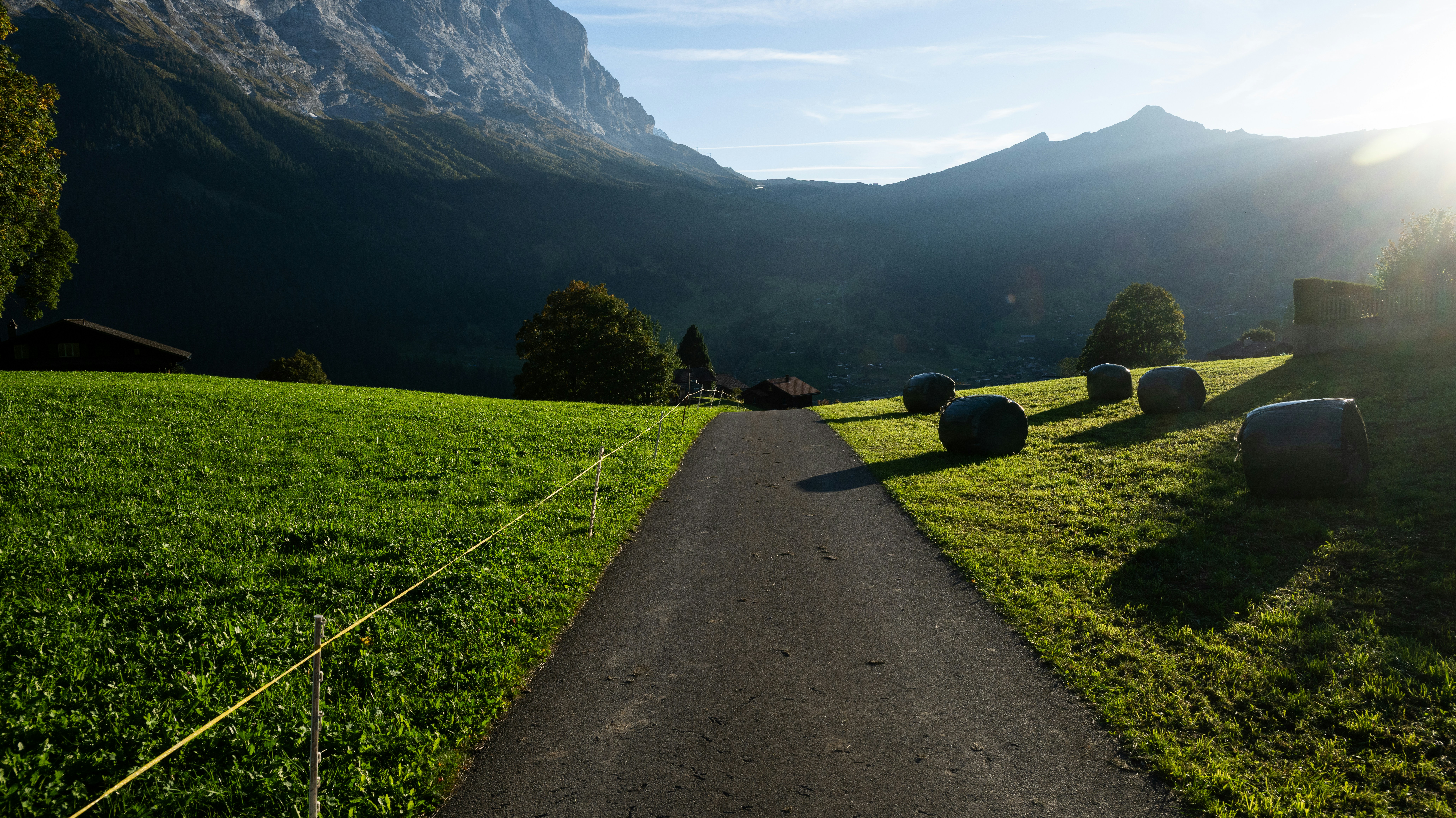 Pathway to Serenity: A Journey Through Alpine Meadows