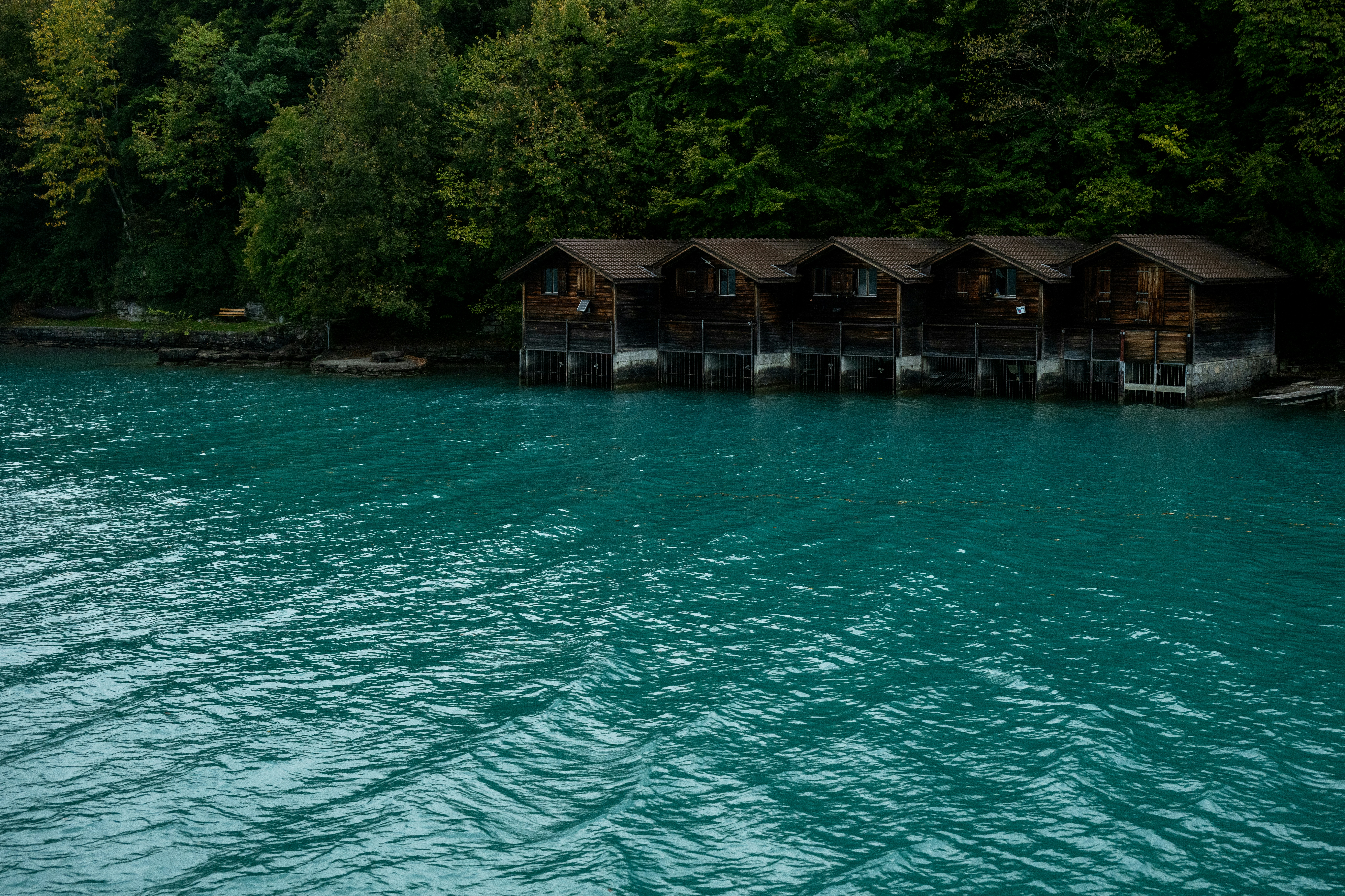 Serenity by the Water: Rustic Cabins Embrace Nature