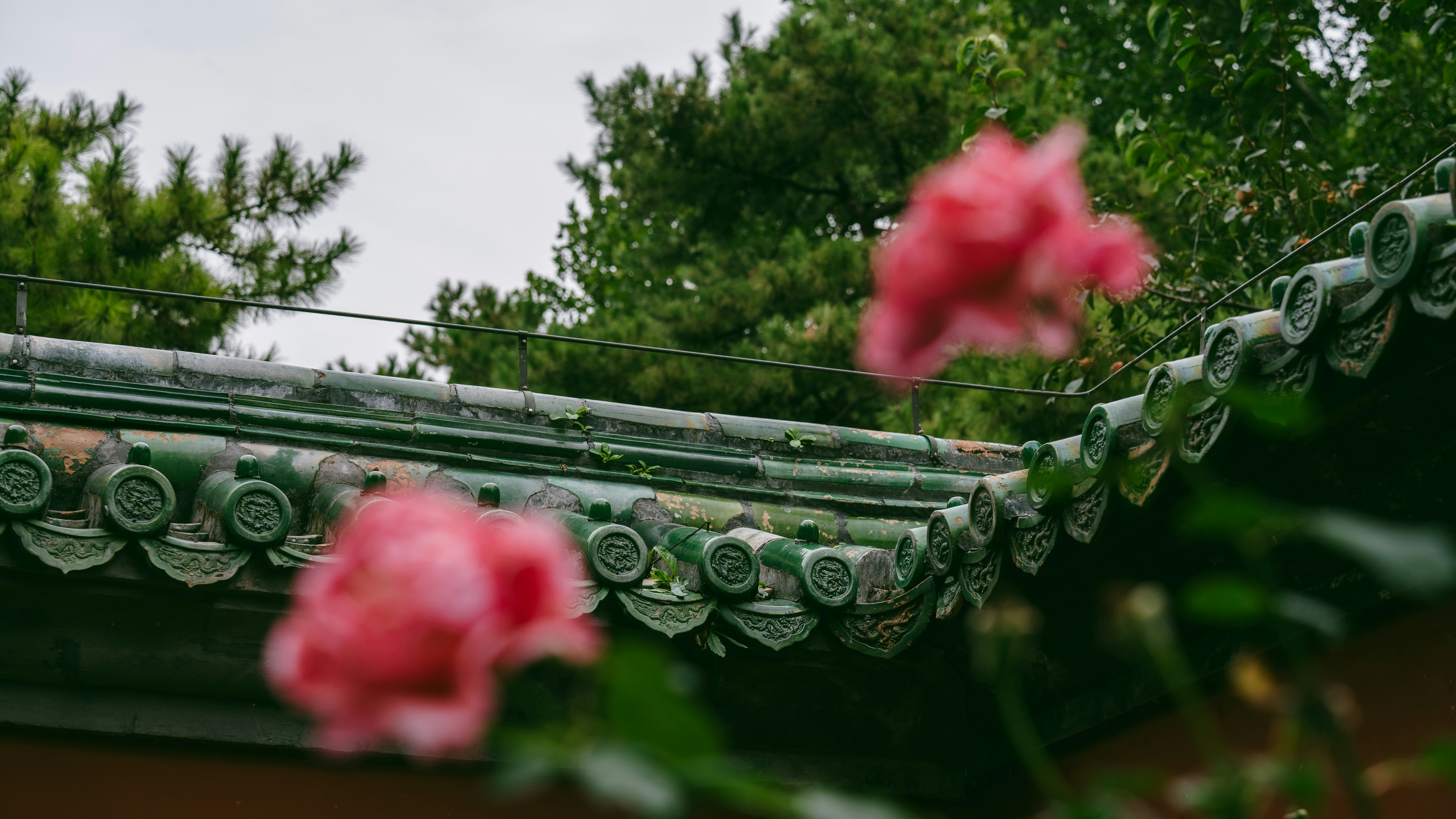 Whispers of Tradition: Floral Elegance Beneath Timeless Architecture