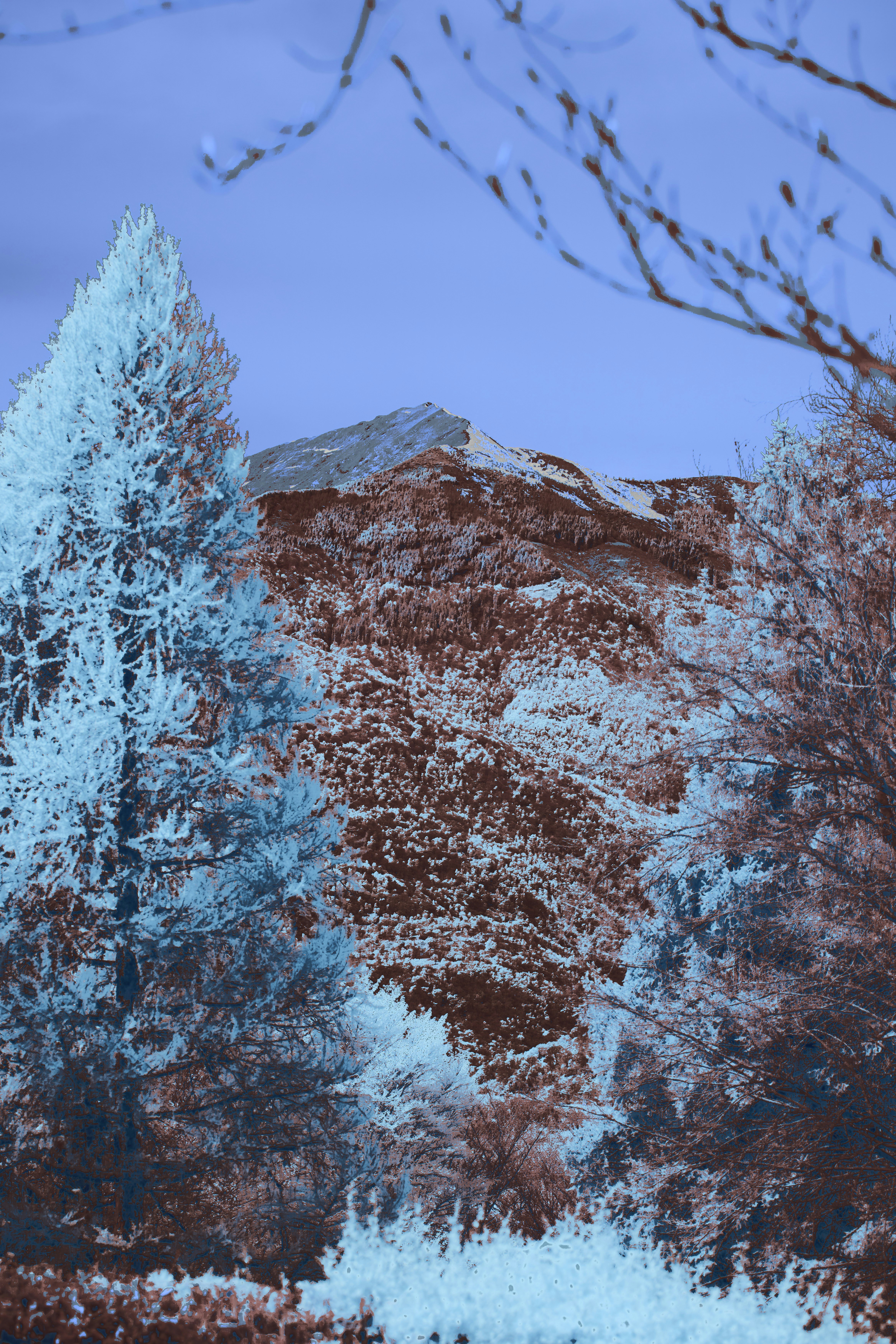 Whispers of the Frosty Summit