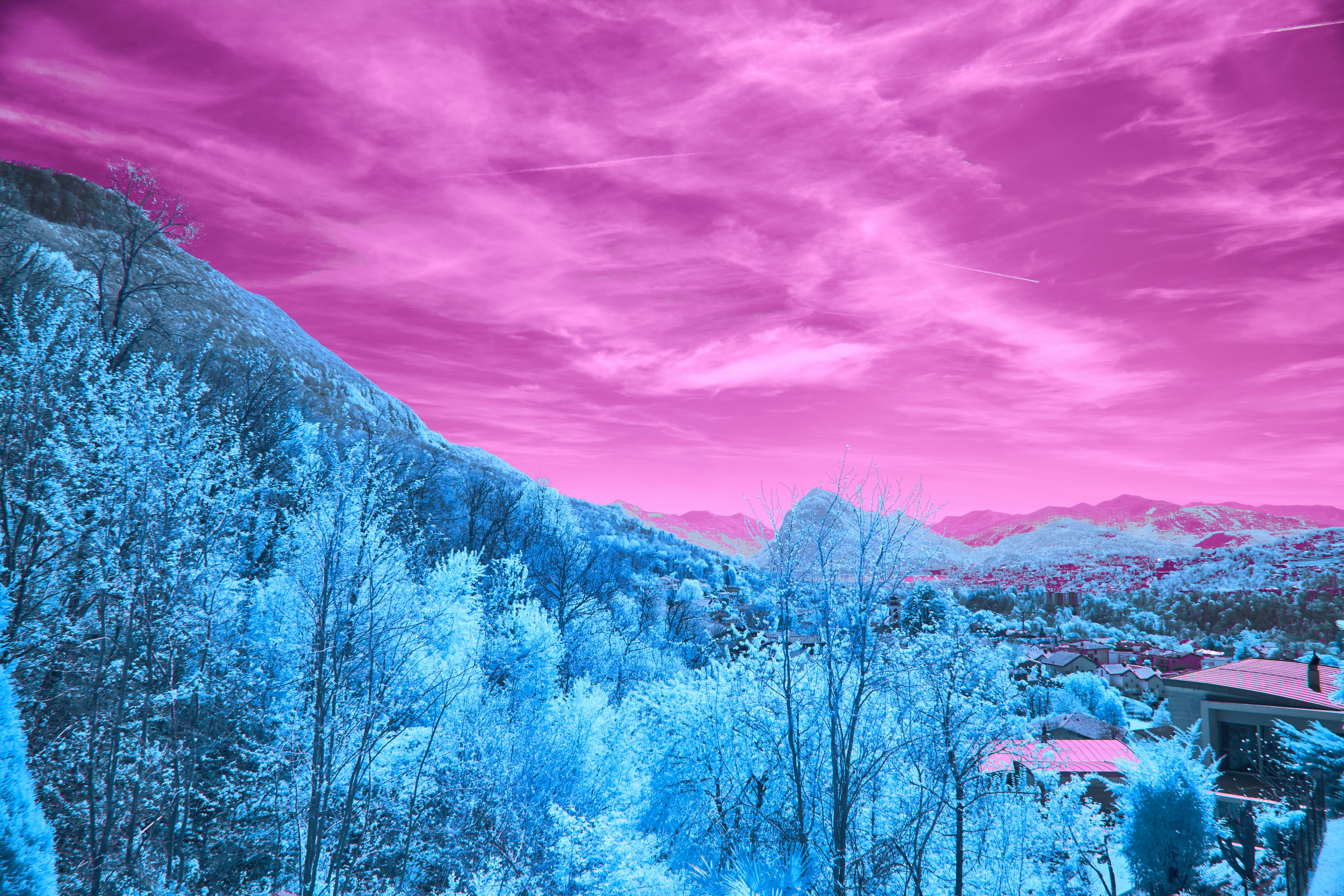 Surreal landscape with pink sky and blue trees