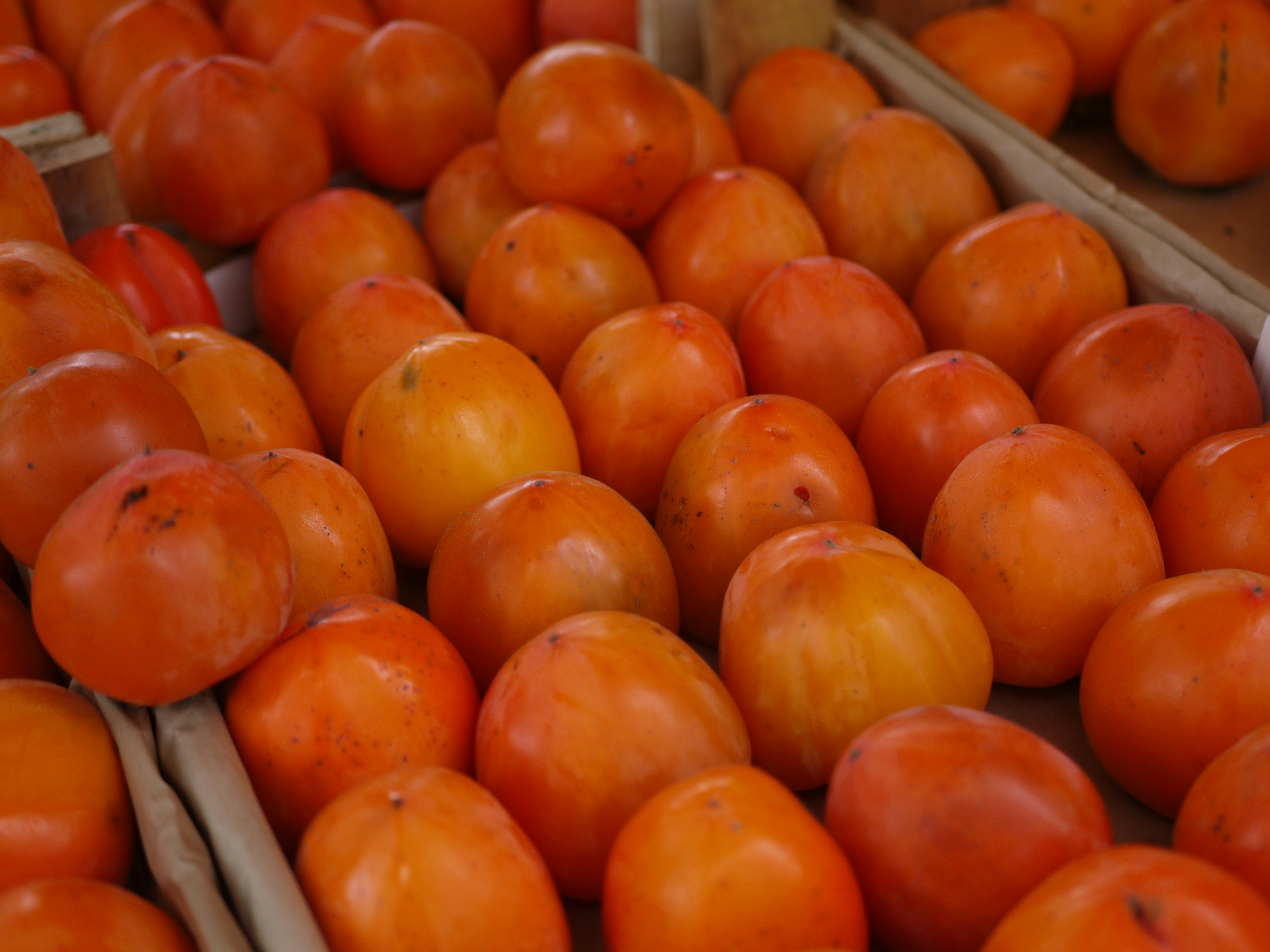 A vibrant array of ripe persimmons arranged neatly in wooden crates at a market. The rich orange hues create a warm, inviting atmosphere.