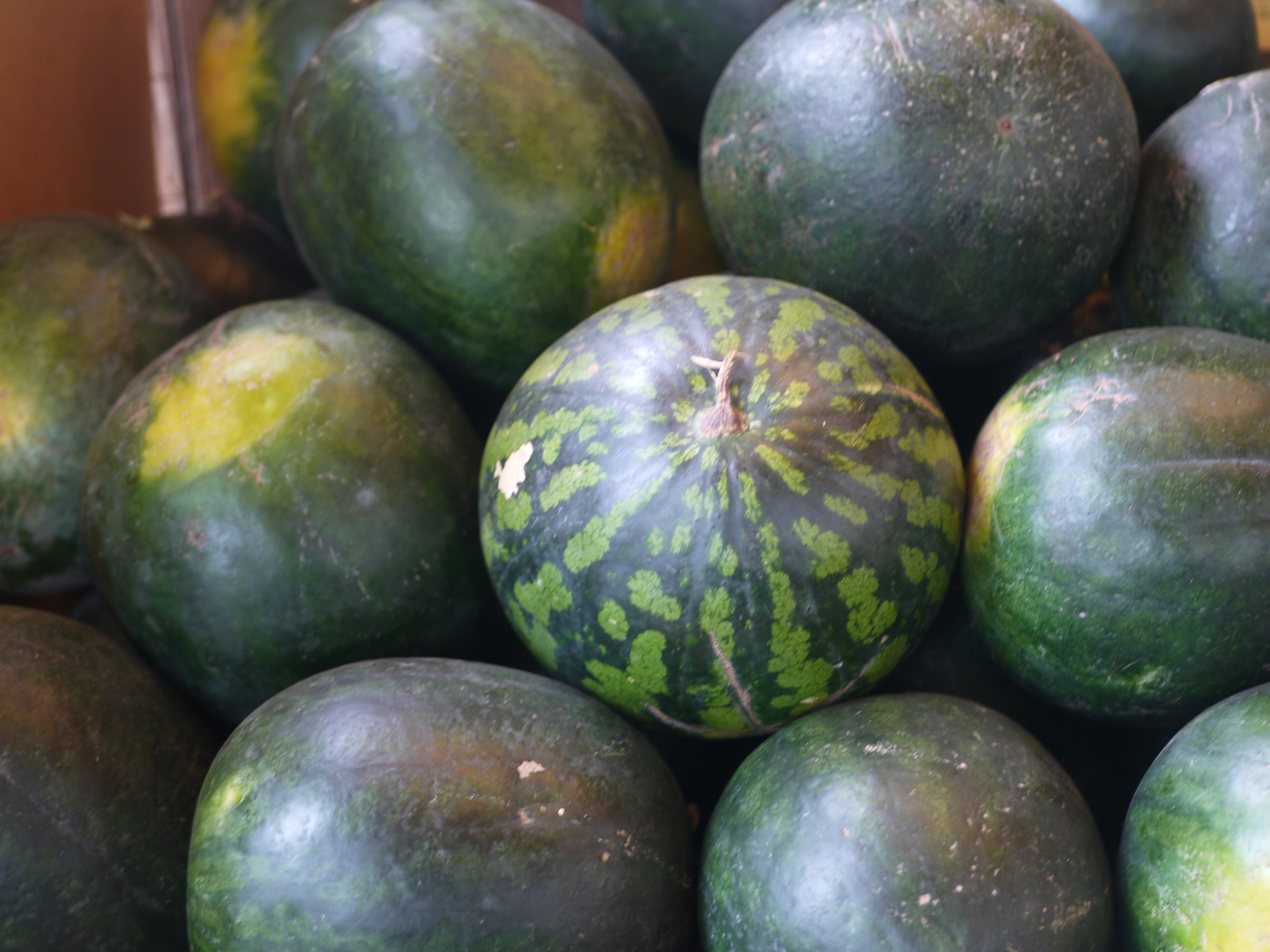 Photo by Ignat Kushnarev with Panasonic Lumix GF3