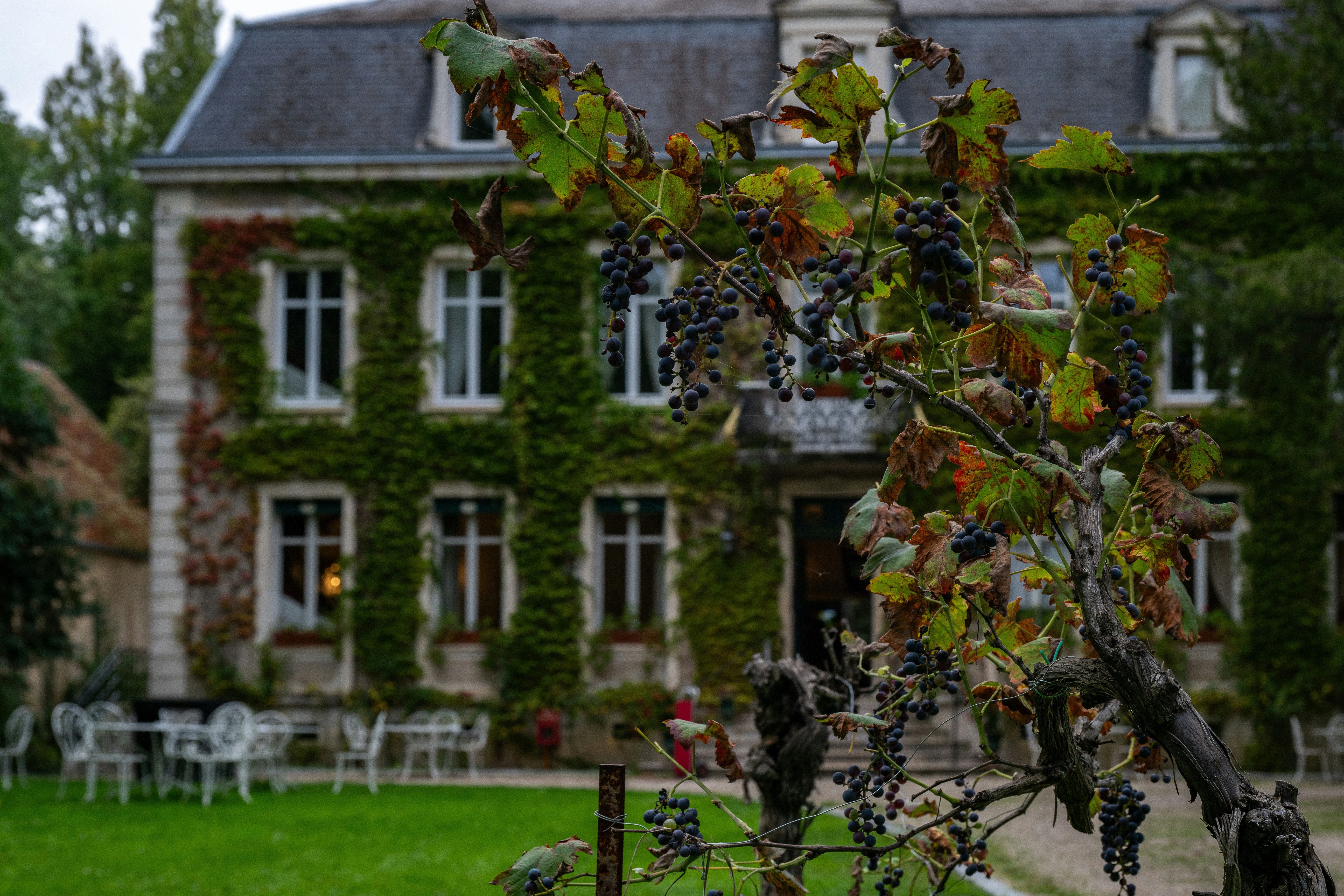 Photo by SOHAM BANERJEE with Nikon Z8