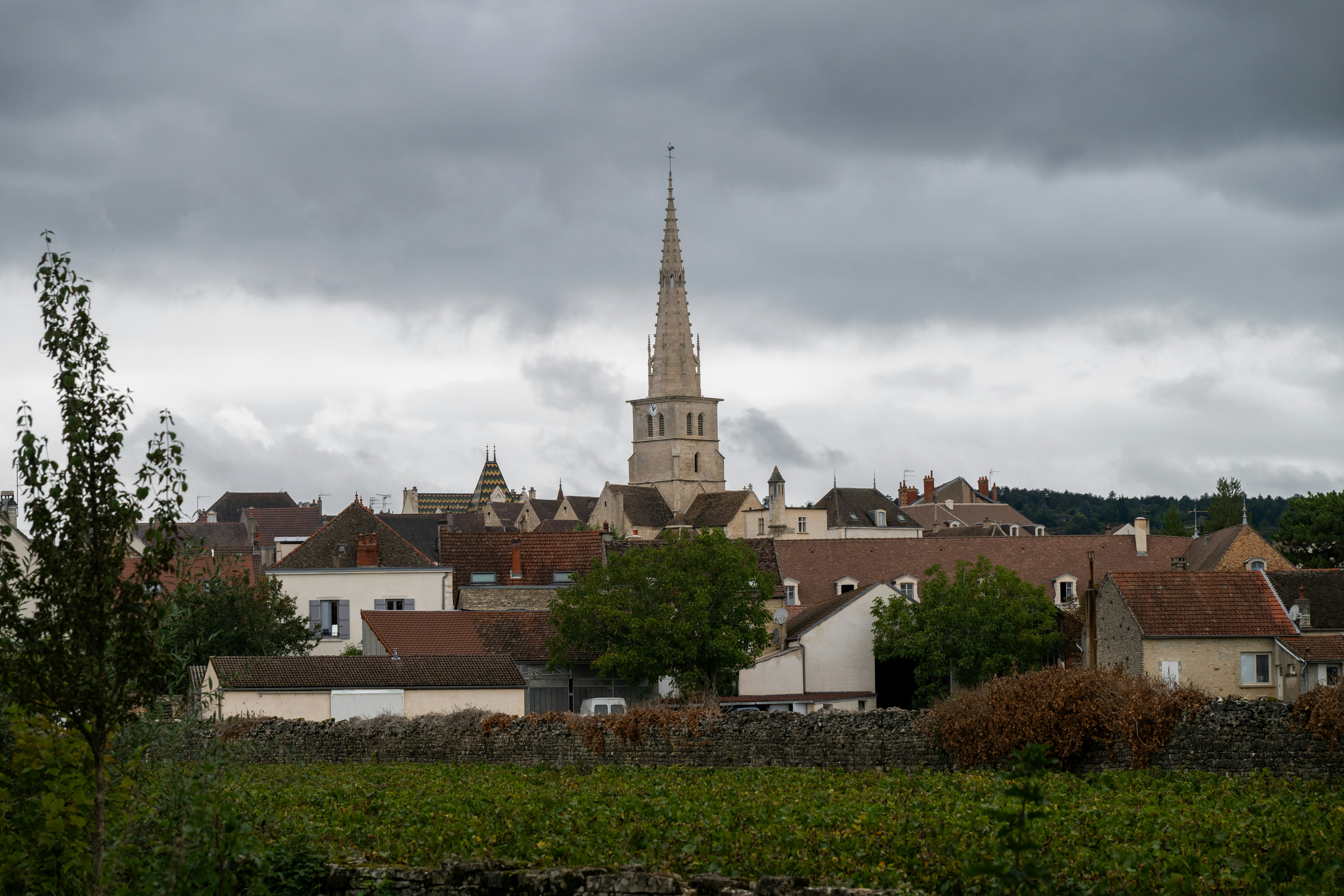 A village with a tall spire under cloudy skies.