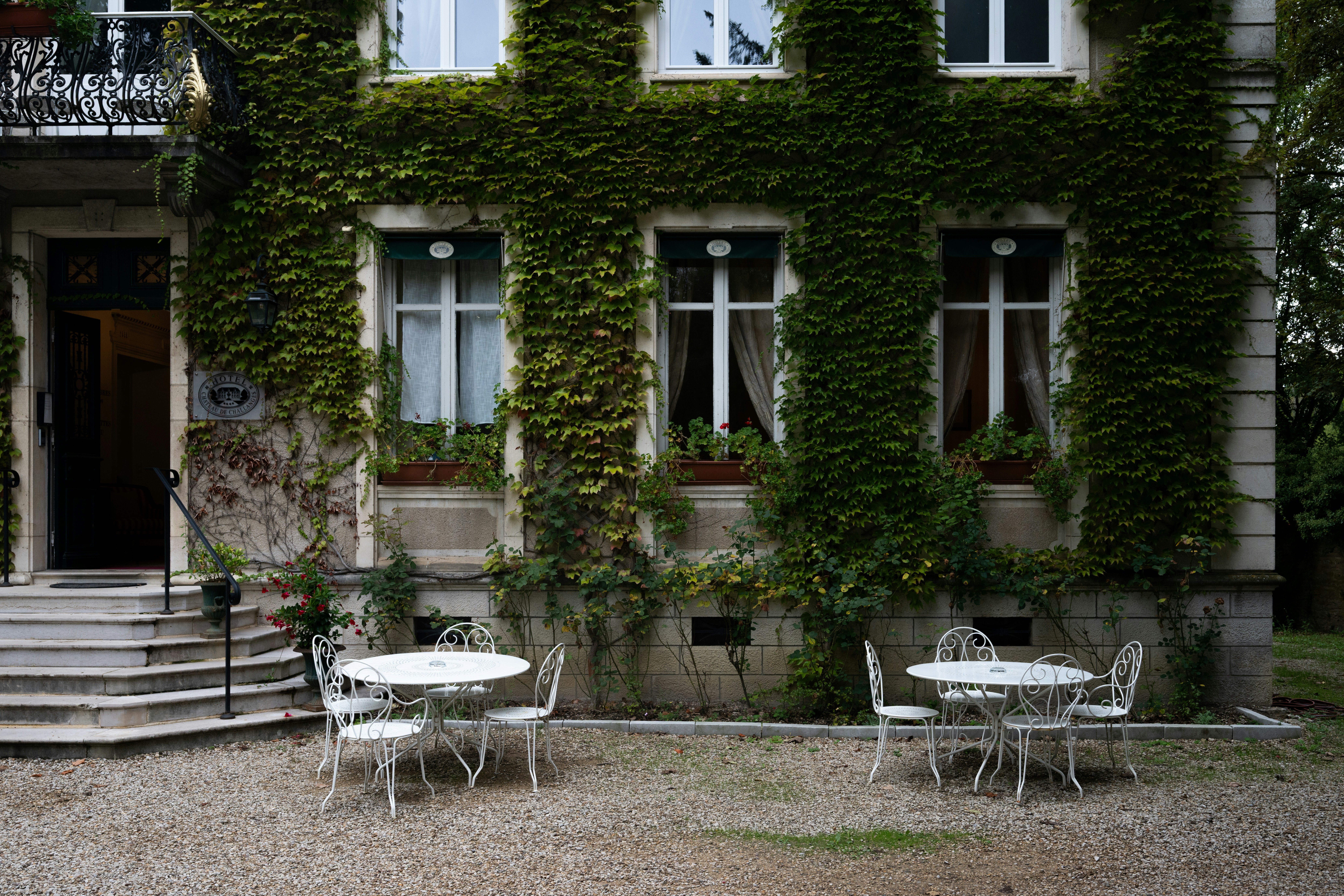 Whispers of Nature: A Serene Garden Escape