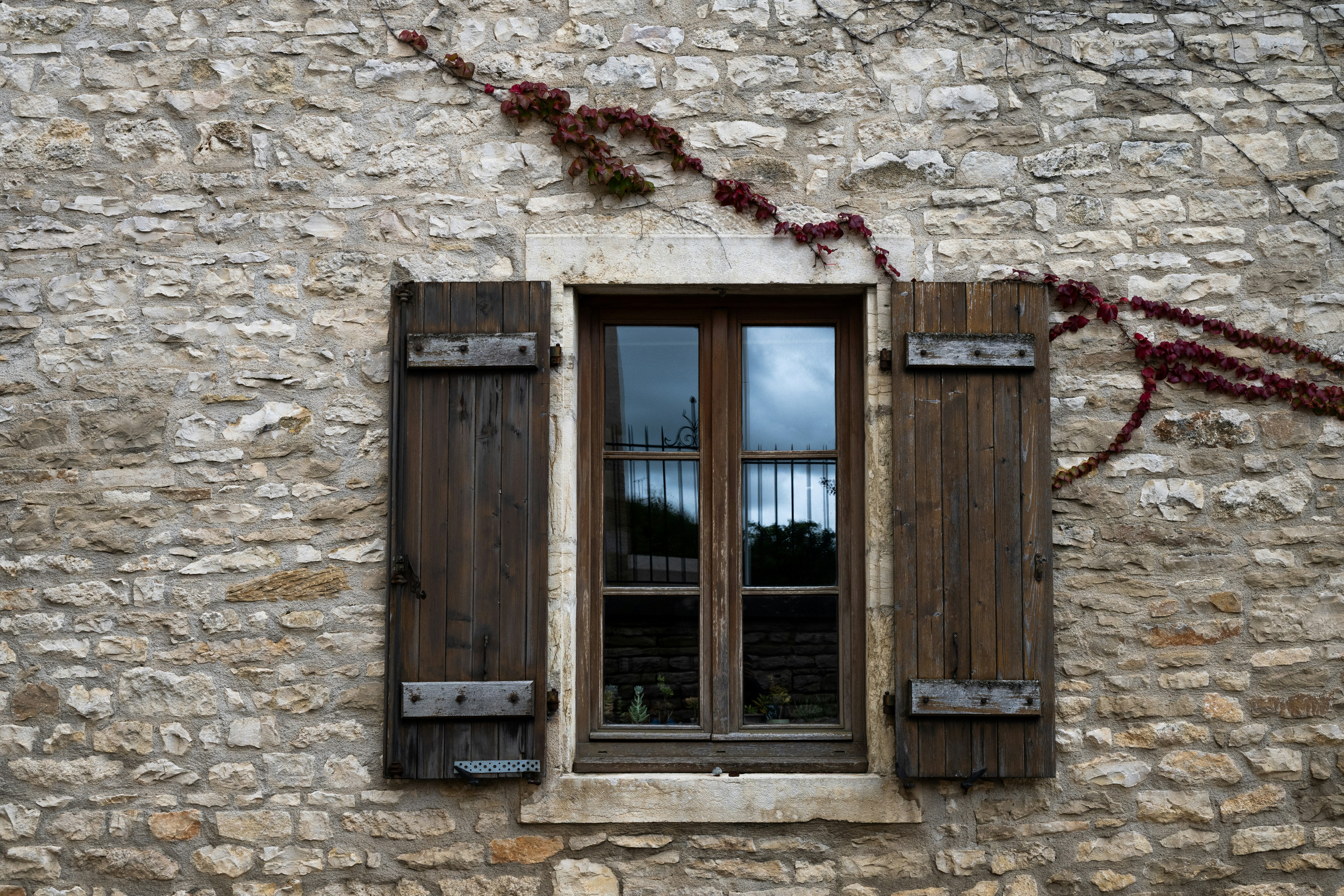 Photo by SOHAM BANERJEE with Nikon Z8