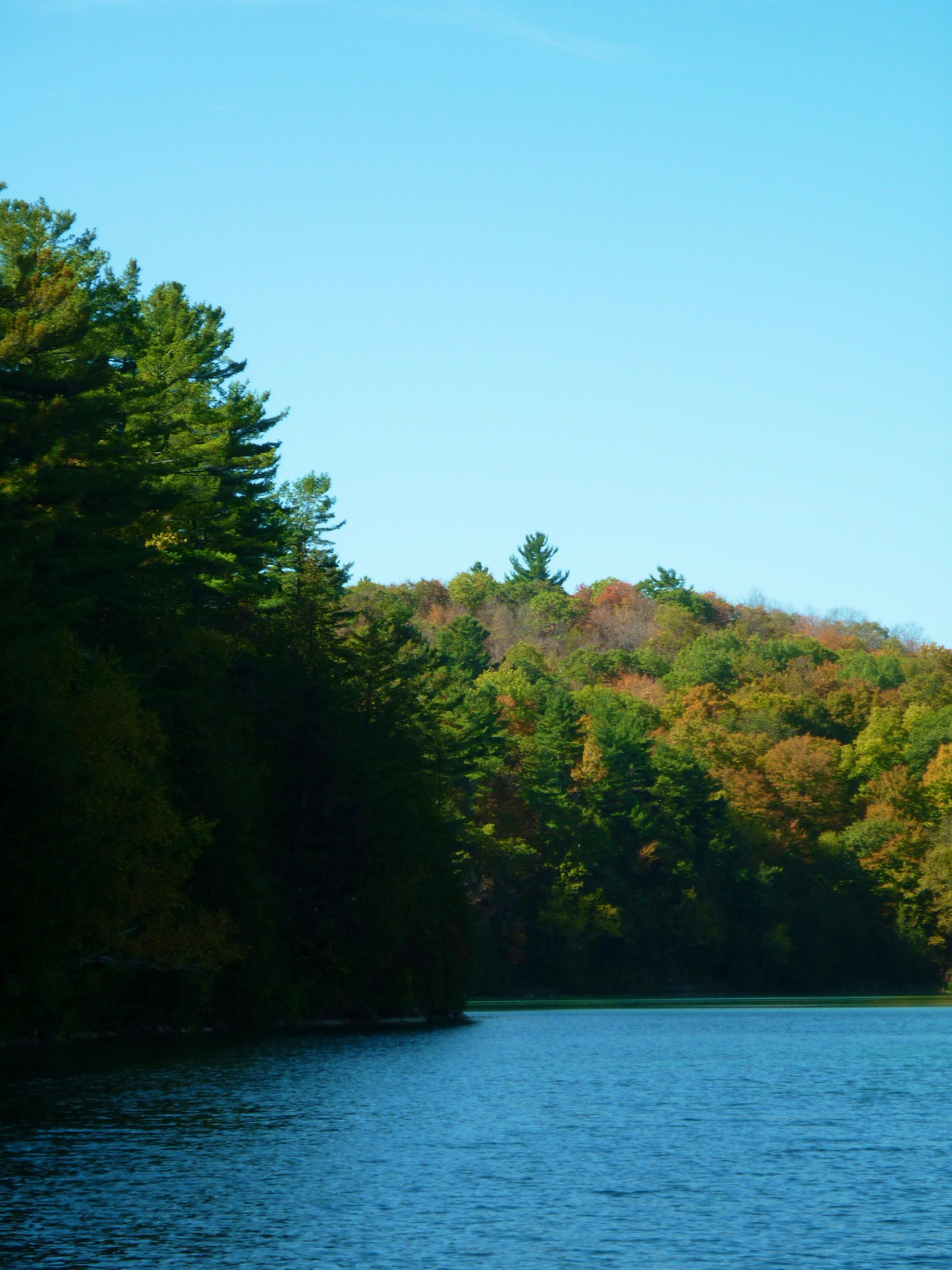 Sample photo from Panasonic Lumix DMC-FS7