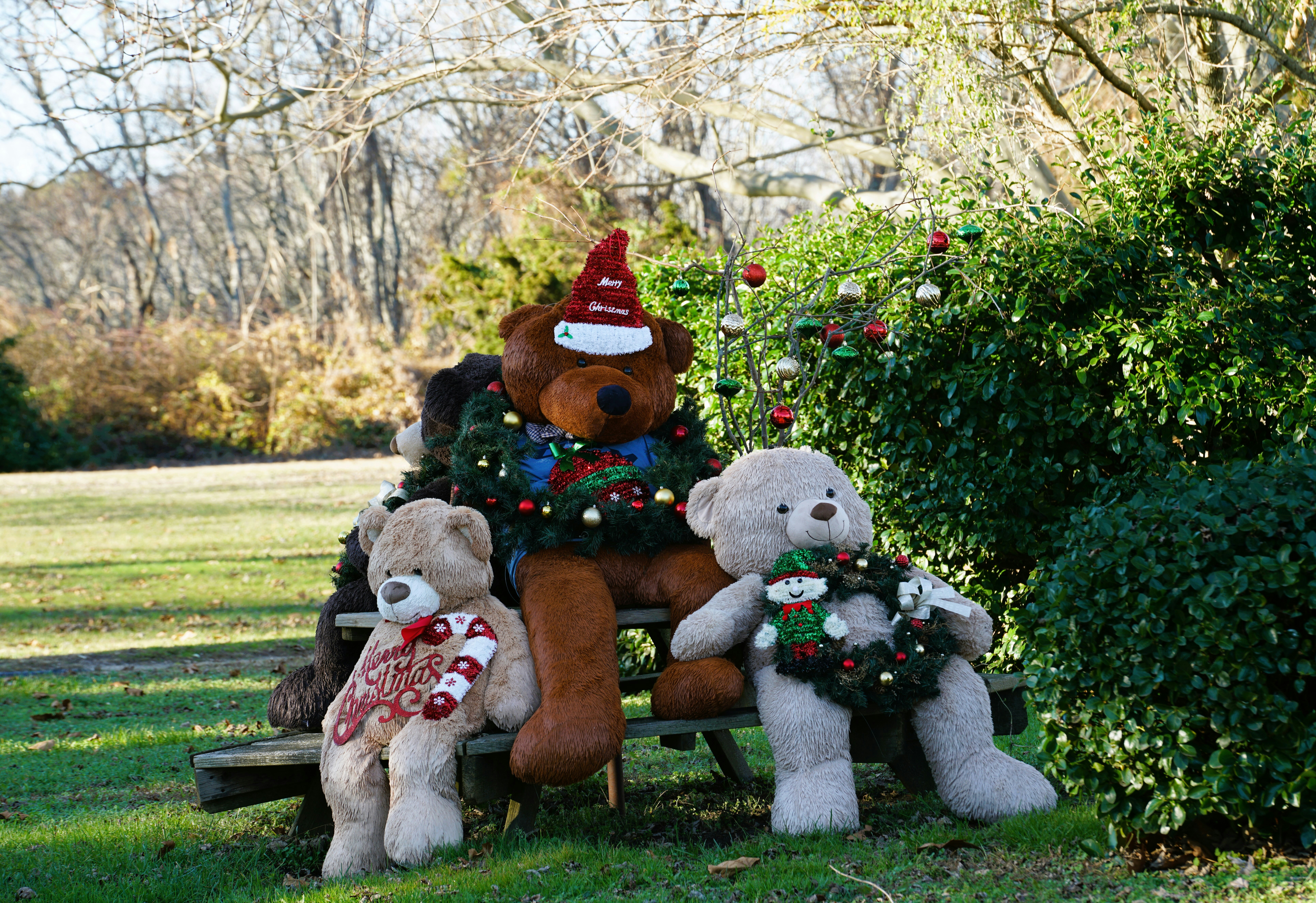 Festive Companions: A Teddy Bear Gathering
