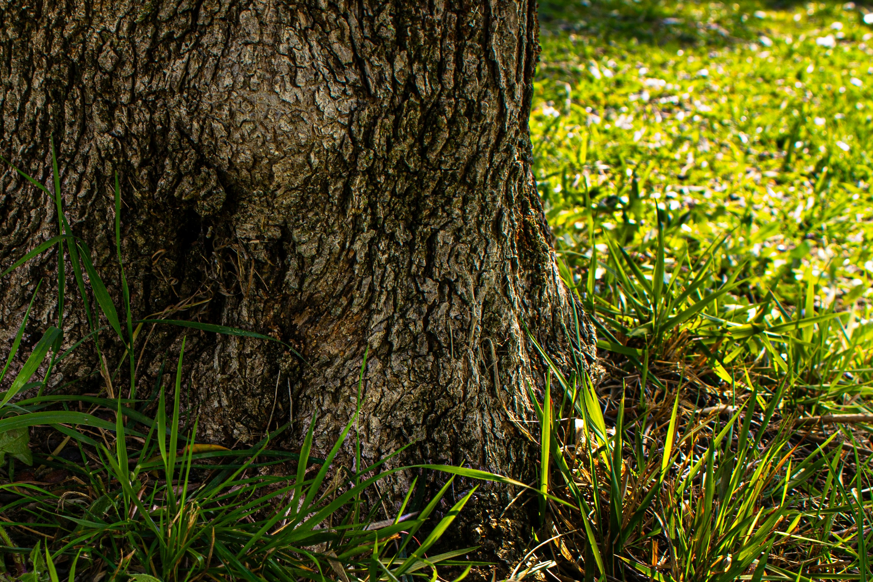 Three Stars Graphics (@3starsgraphics) | Komunitas Foto Unsplash