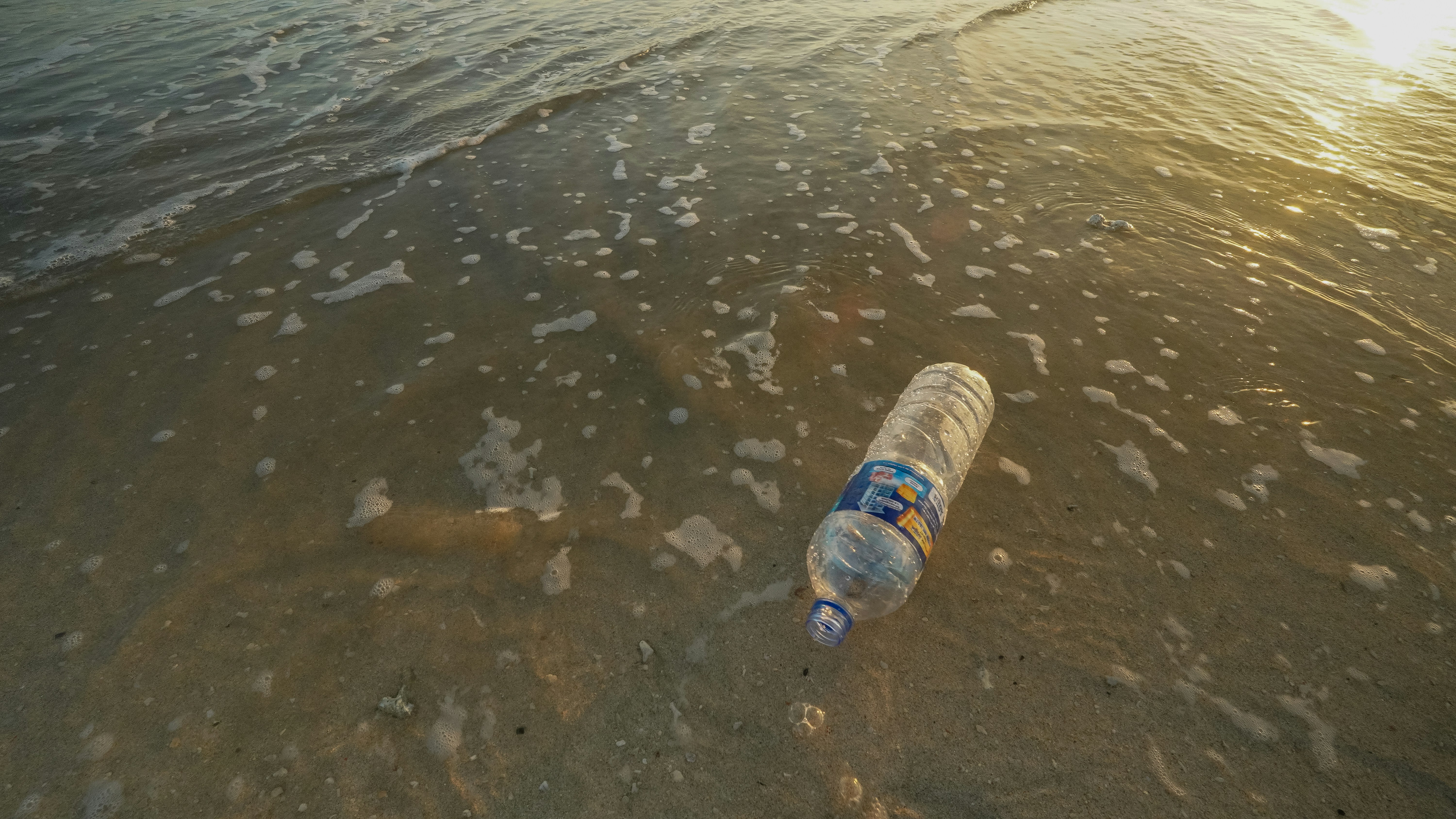 A Moment of Reflection: Nature Meets Waste