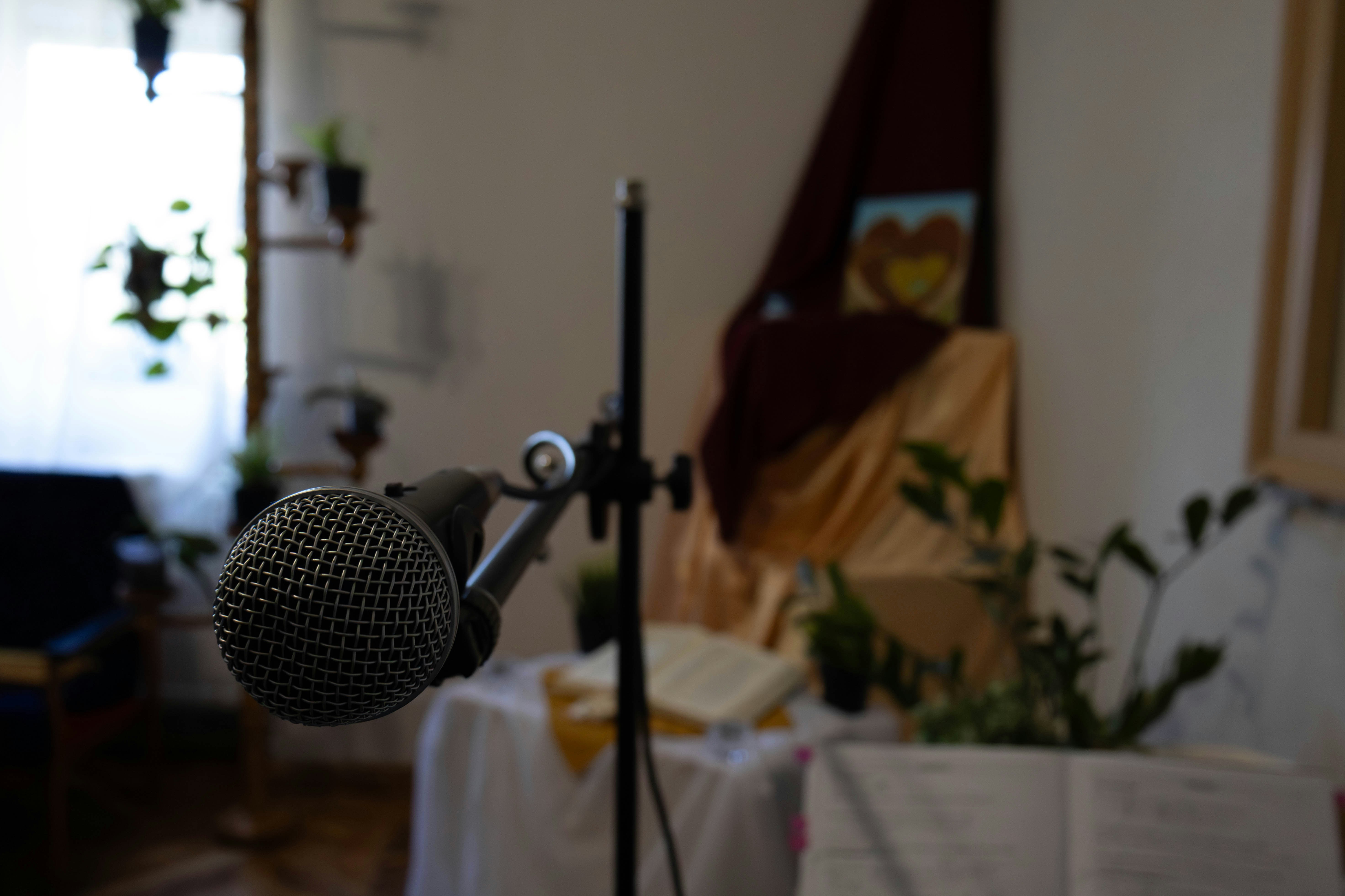 Echoes of Expression: A Microphone's Awaited Call