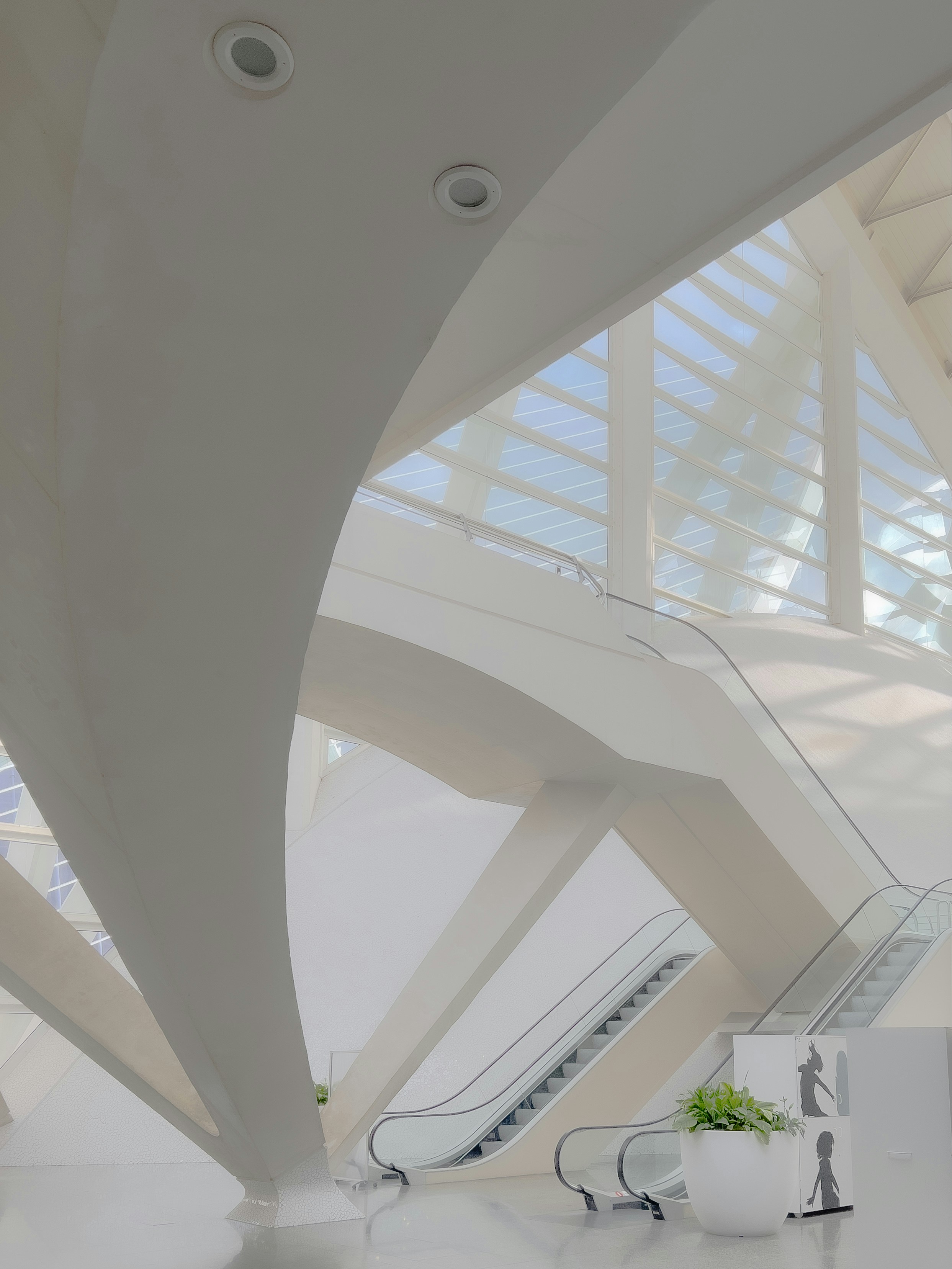 Modern interior with escalators and white architectural elements.