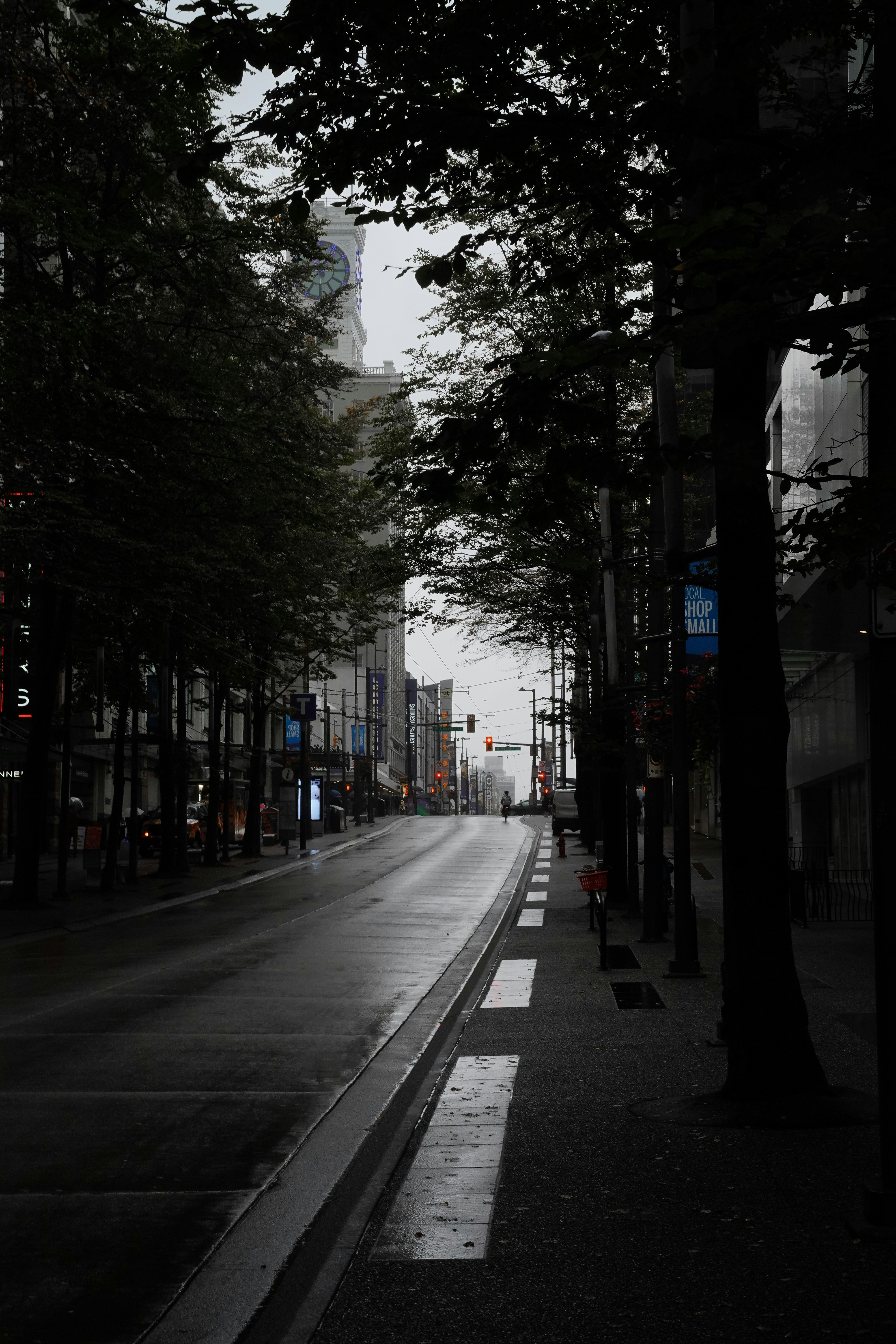 Empty street lined with trees and buildings