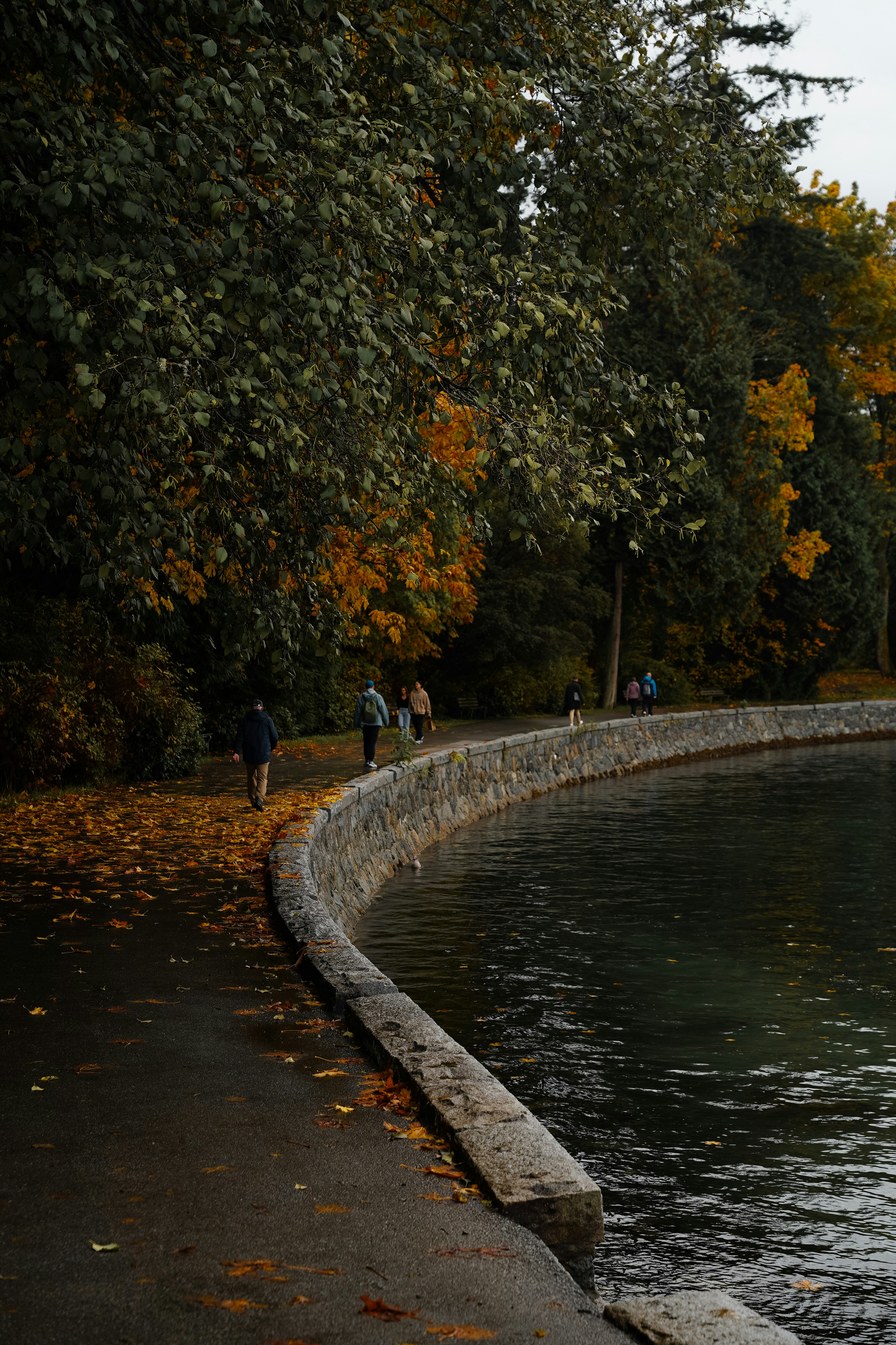 Autumn Stroll Along the Water's Edge