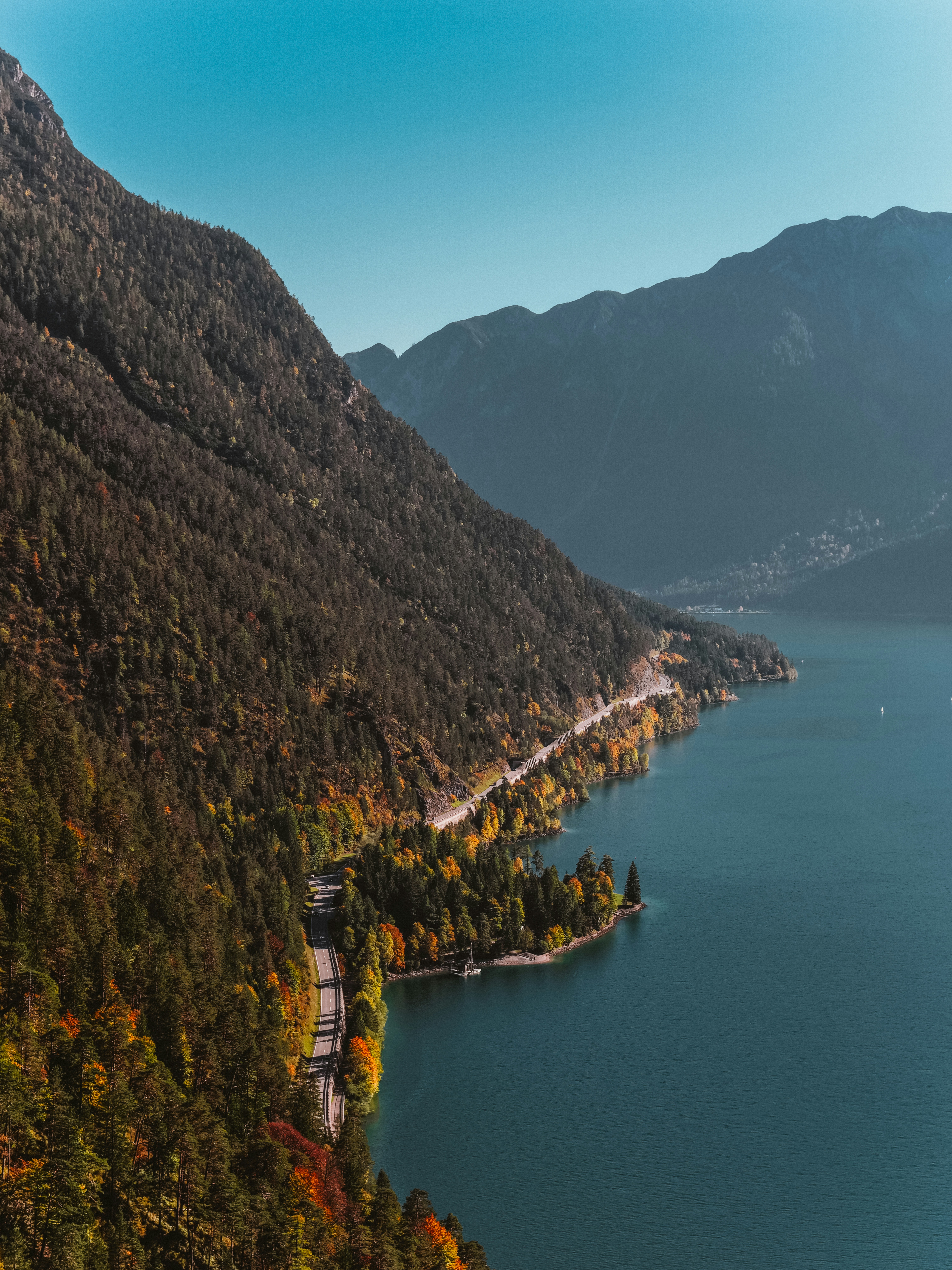 Winding Path of Serenity: A Journey Through Nature's Palette