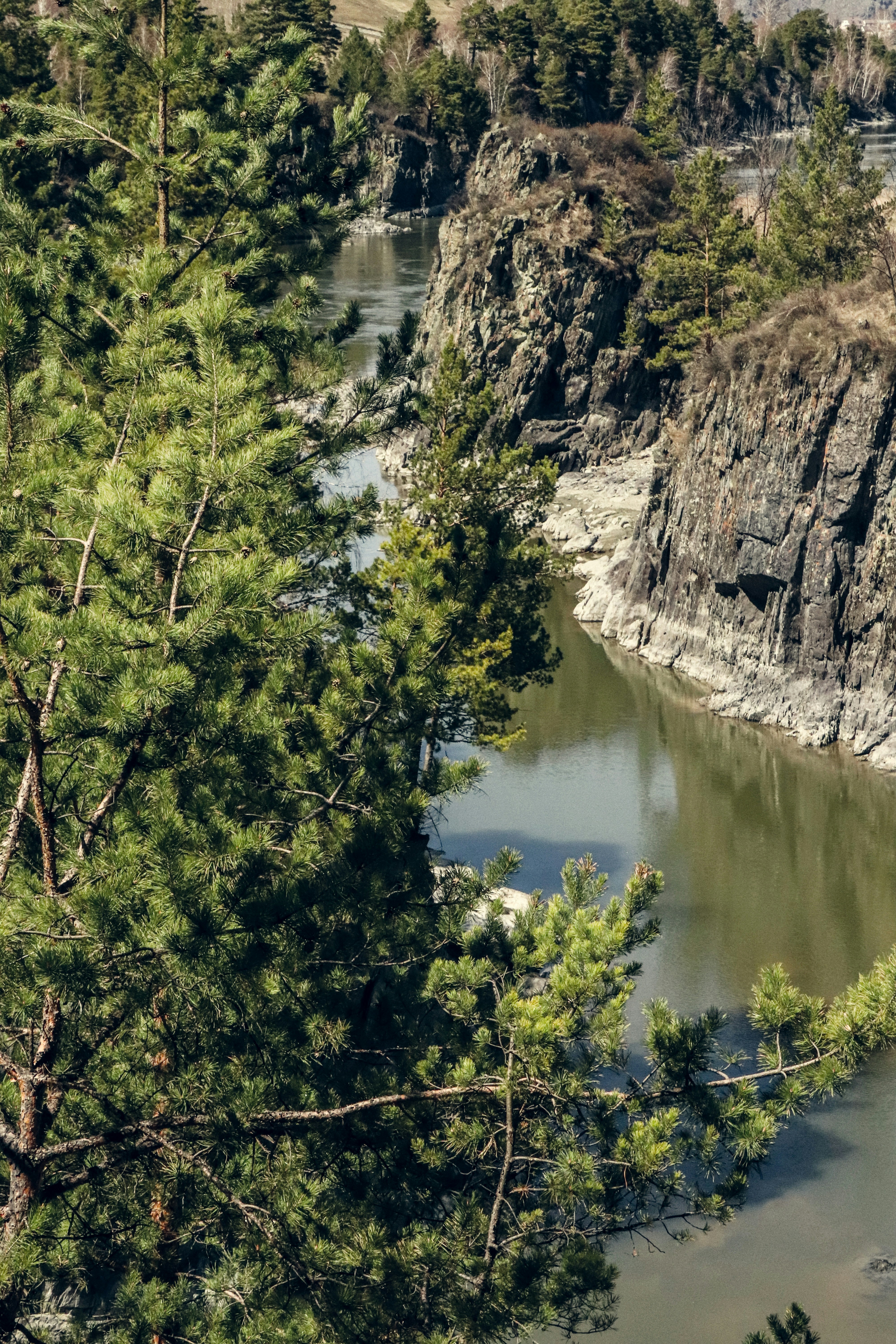 Whispers of Nature: A Serene River's Embrace