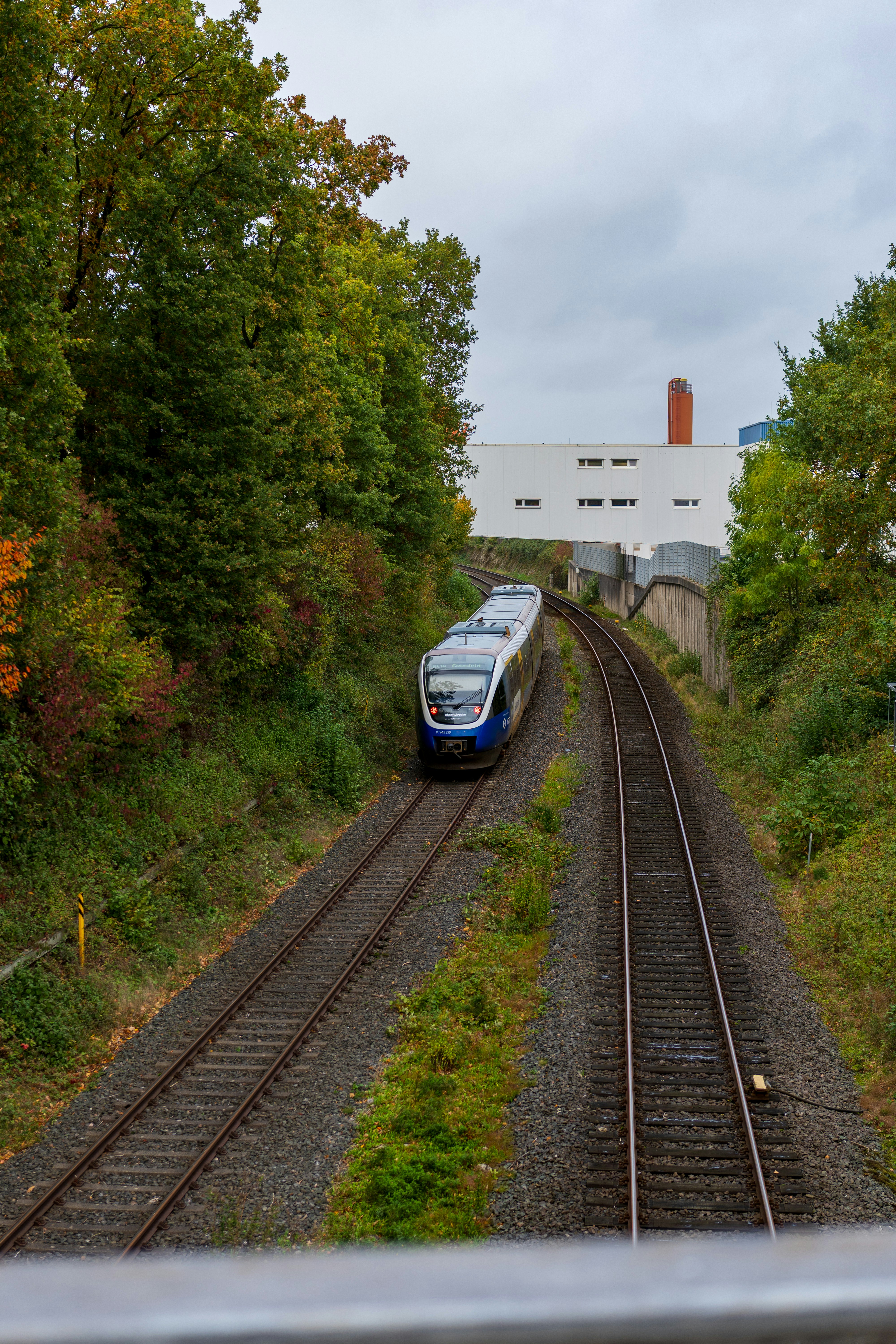 The Journey Through Verdant Tracks