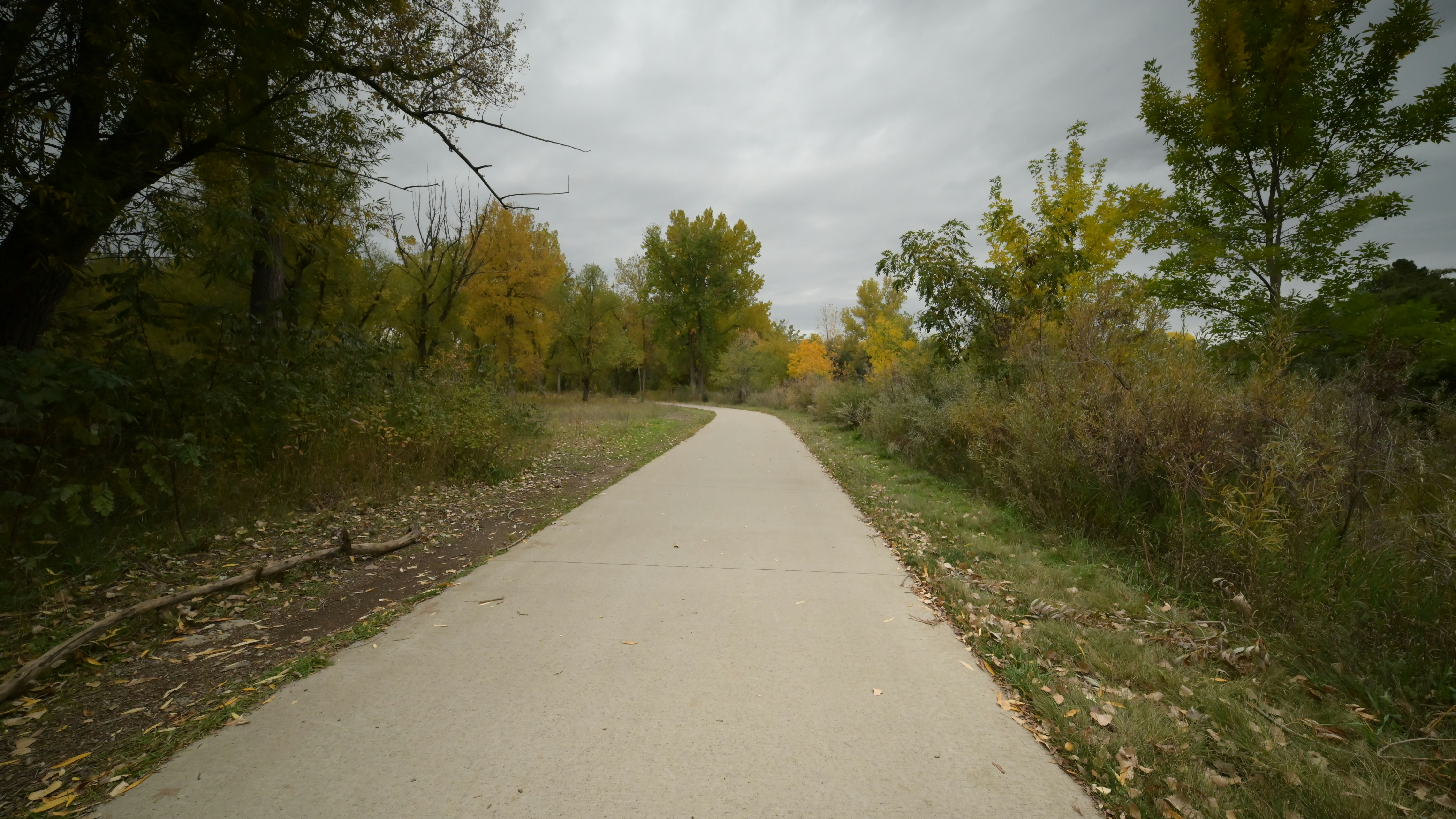Autumn's Pathway: A Journey Through Nature's Palette
