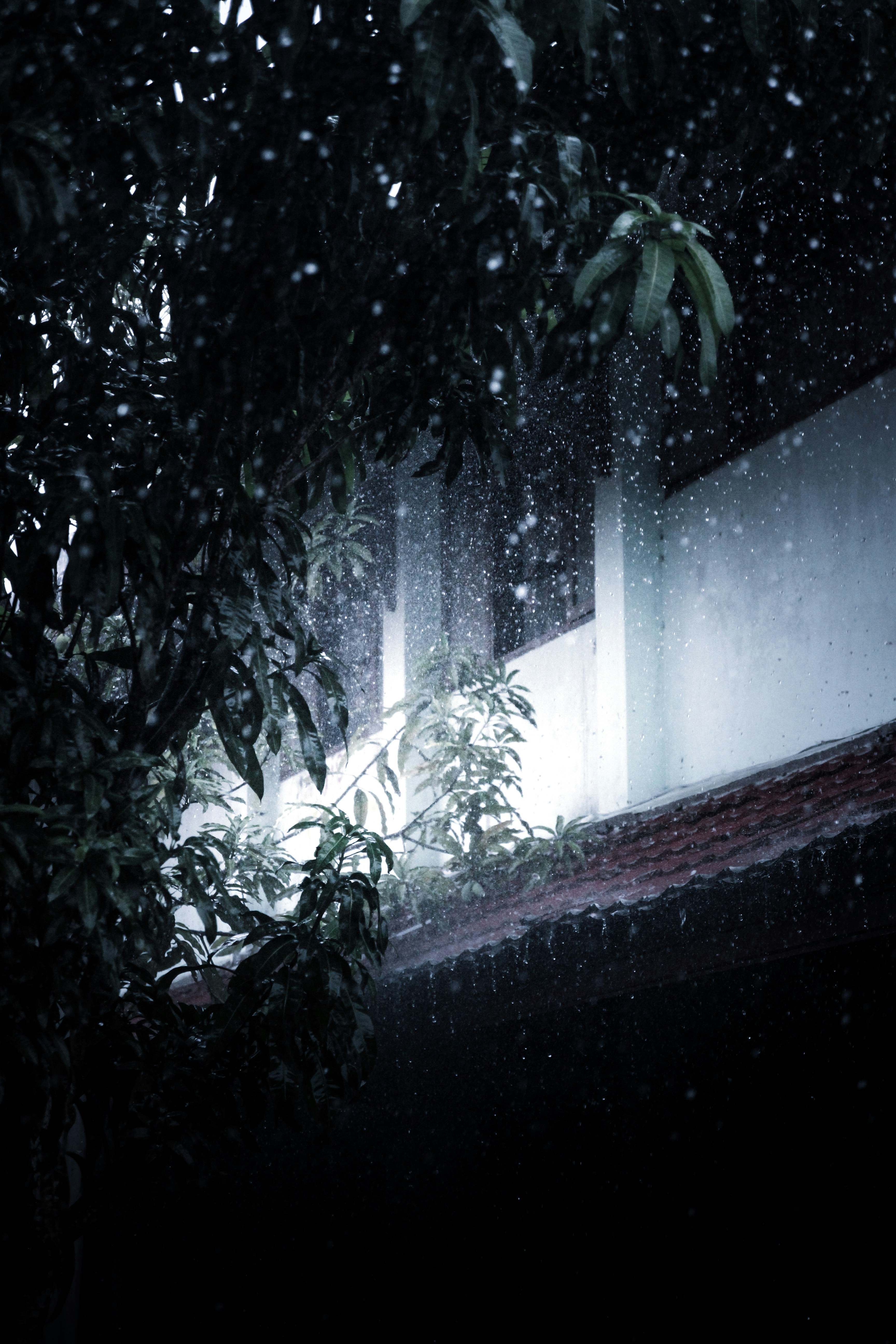 Rain hits the roof and trees | Rain falling on a tiled roof near trees.