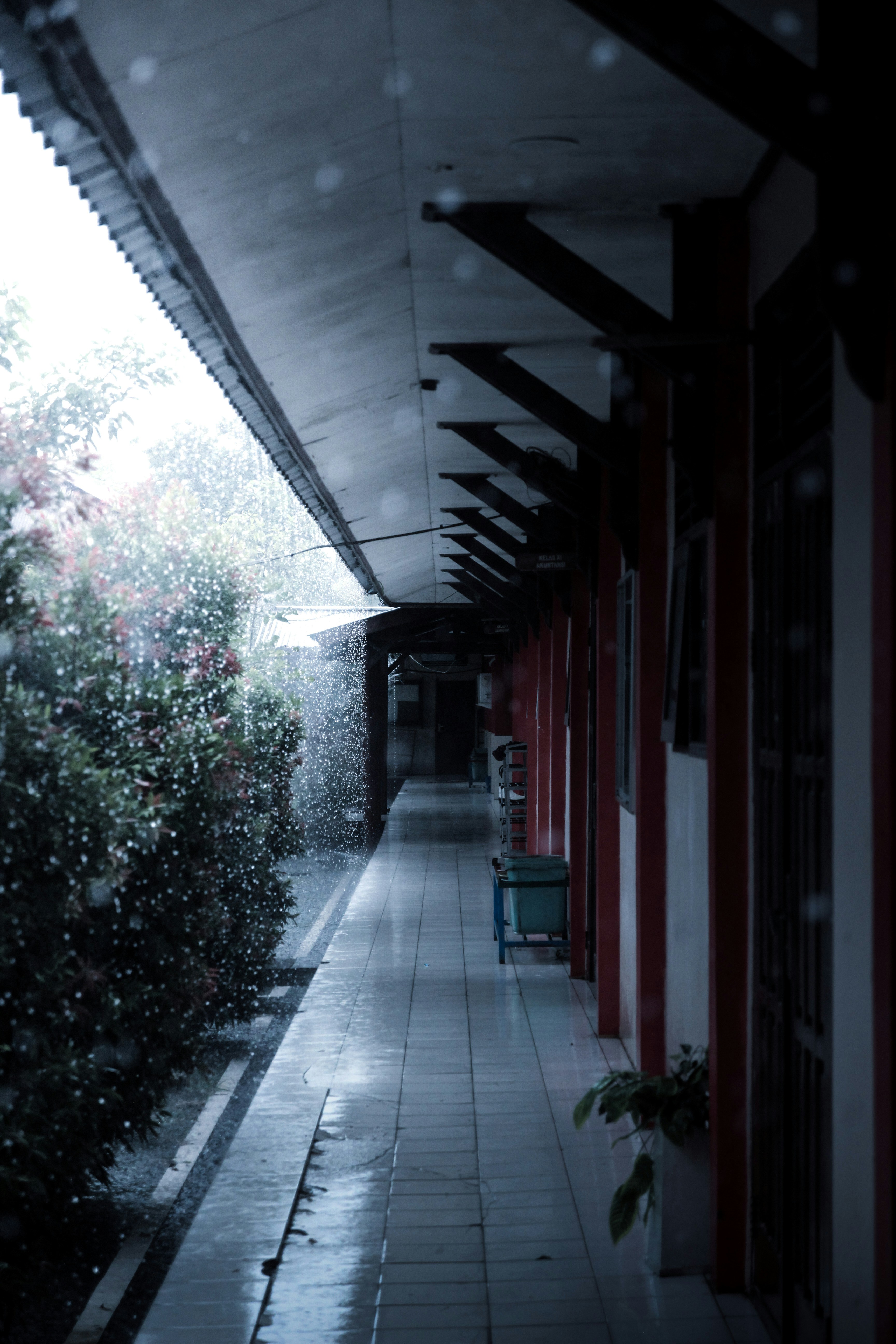 The atmosphere in the hallway when it rains | Rain falling on a tiled walkway next to bushes.