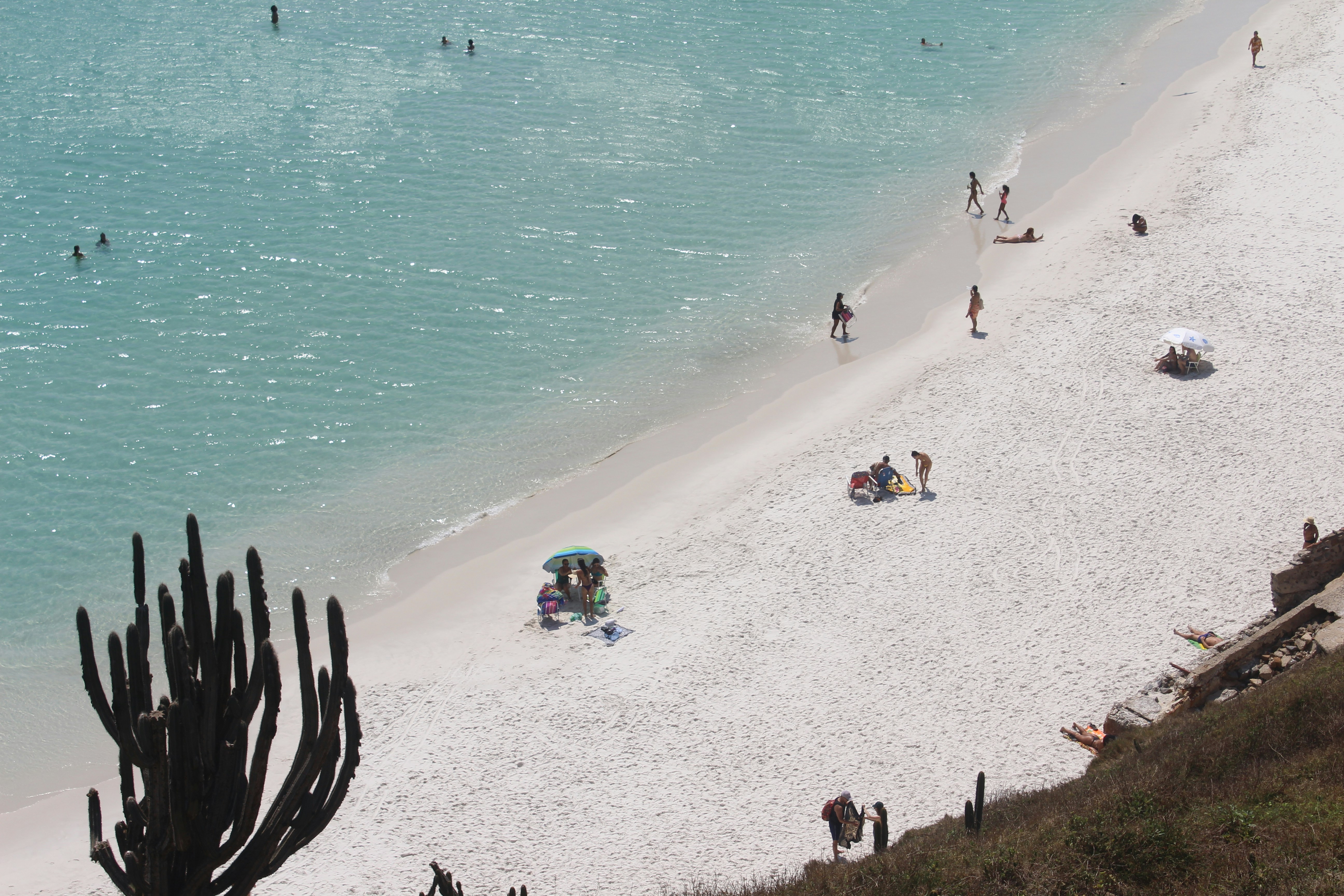 Tranquil Shores: A Day at the Beach