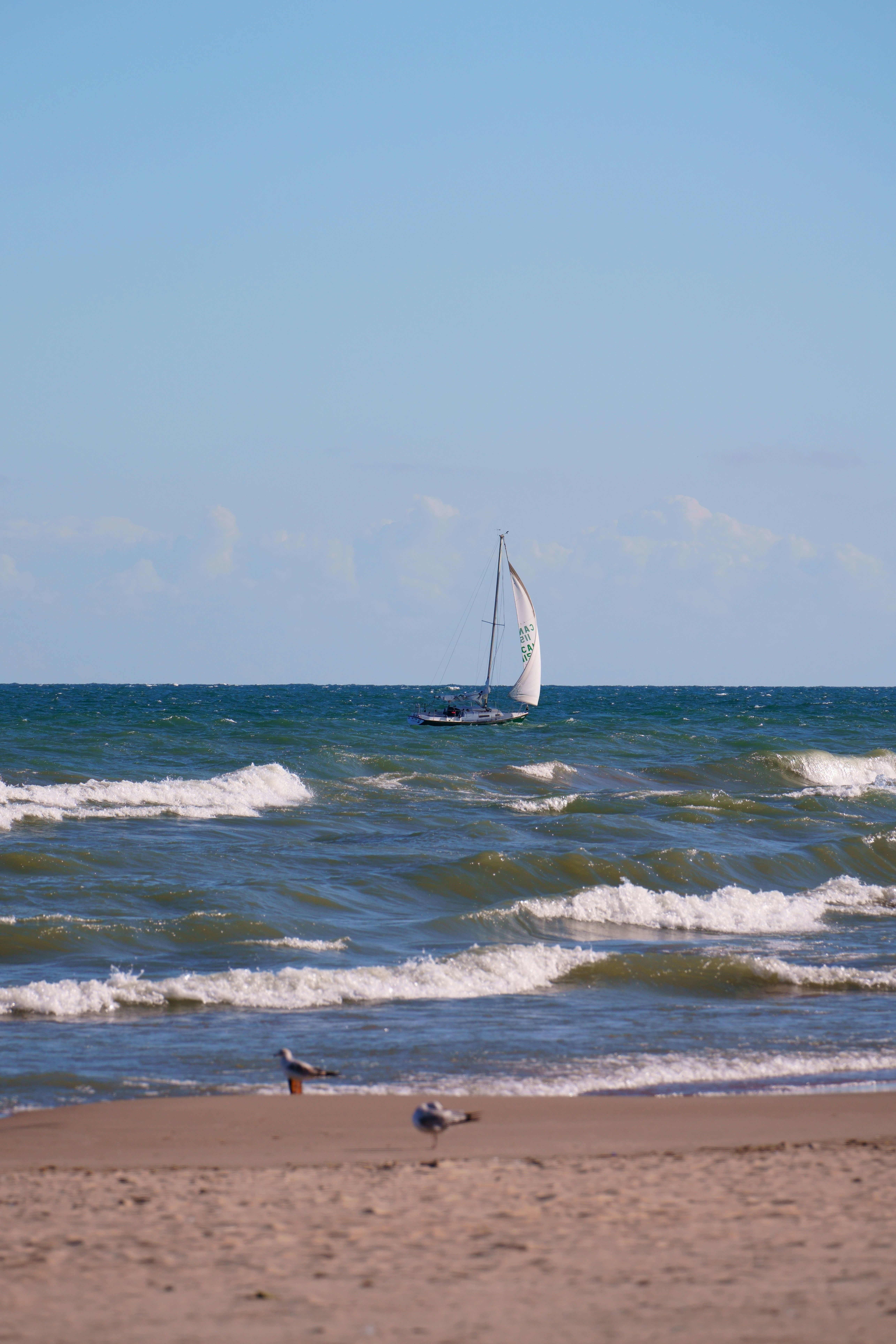 Sailing Serenity: A Day on the Waves