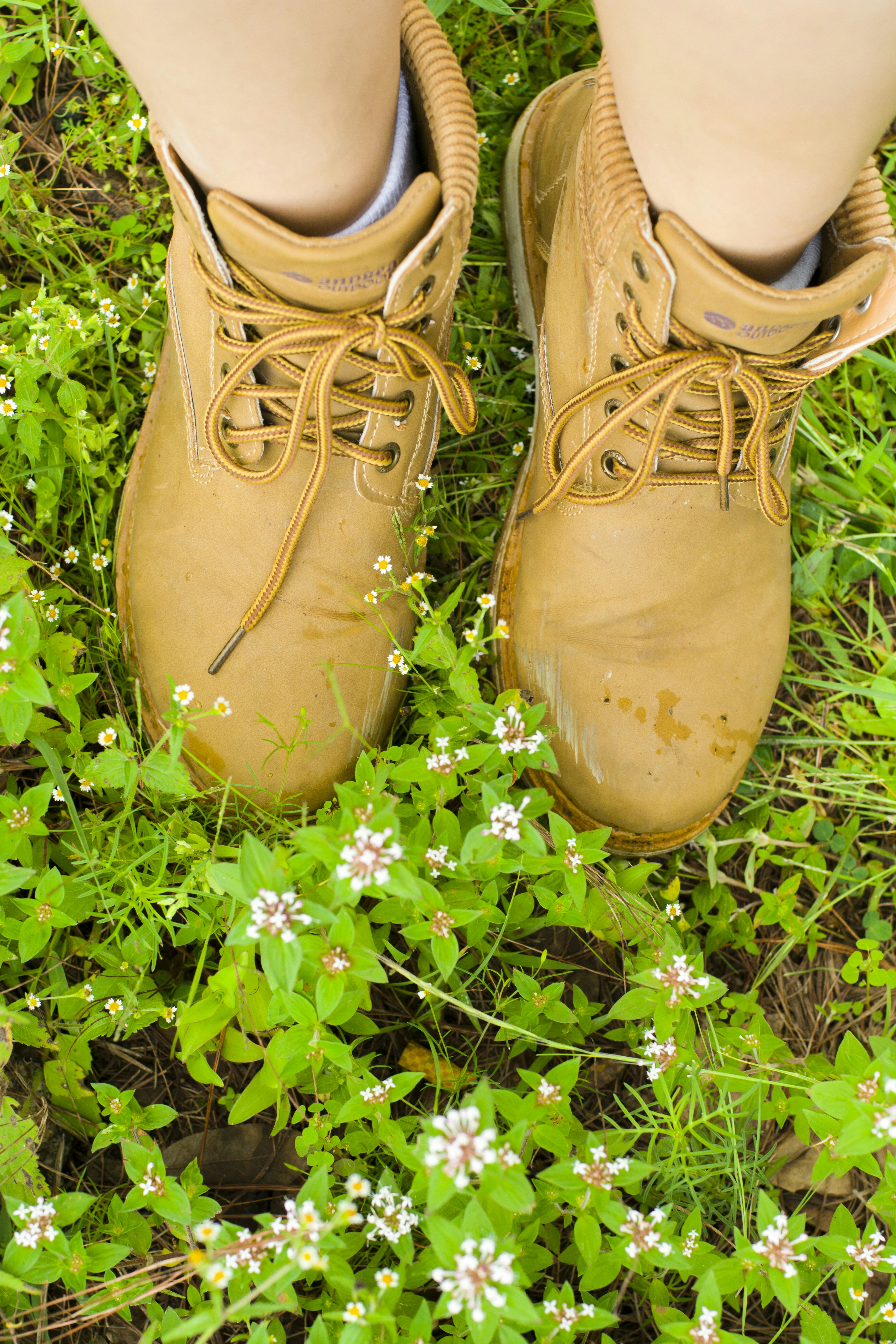 Paola Aguilar (@paola_aguilar) | Unsplash 사진 커뮤니티