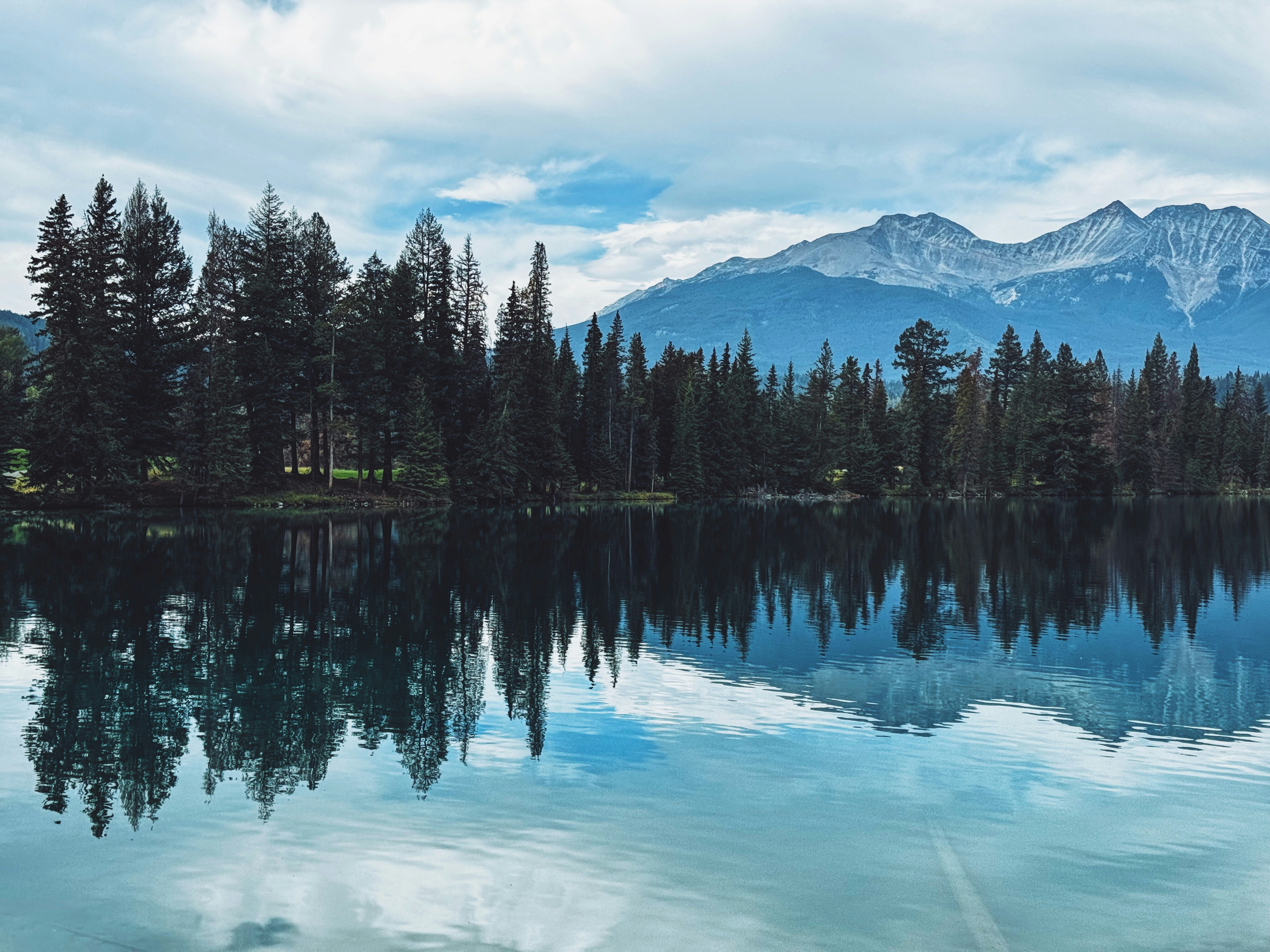 Pine trees reflected in a calm lake with mountains.