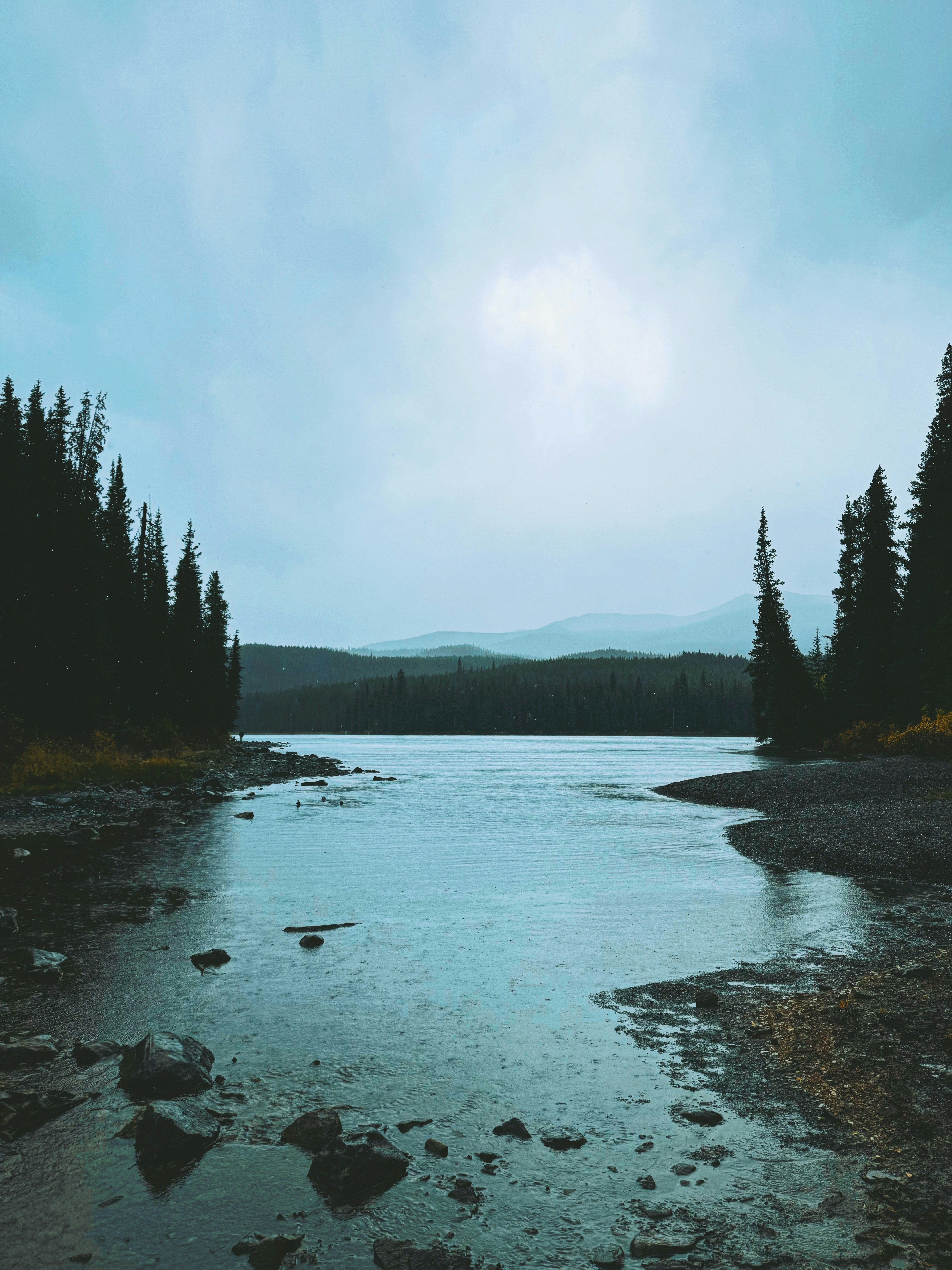 Calm lake surrounded by pine trees under a cloudy sky